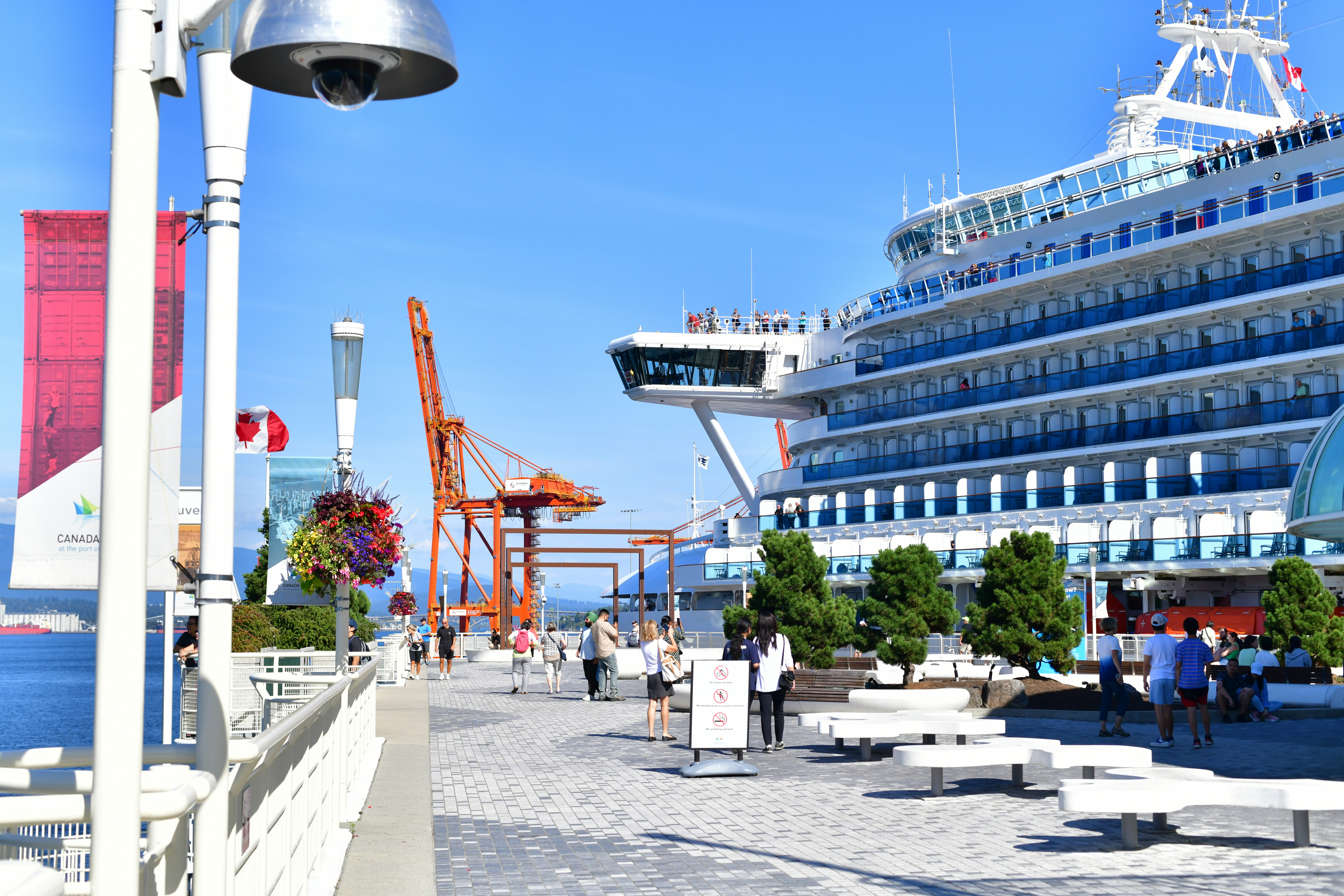 Dockside Grand: A Voyager’s Welcome by the Cruise Ship