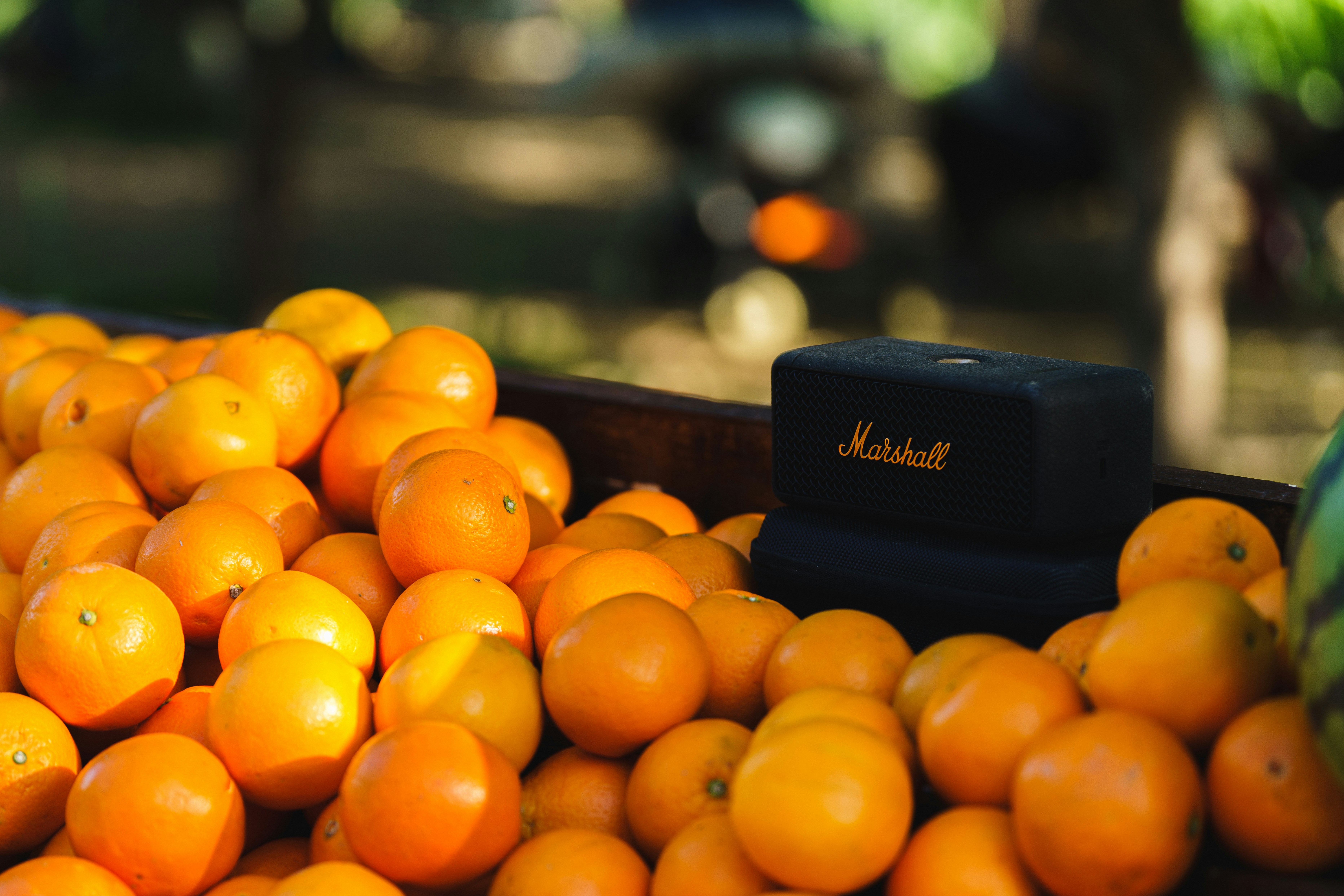 Orange Bloom: A Sunlit Stall of Citrus and a Hidden Marshall