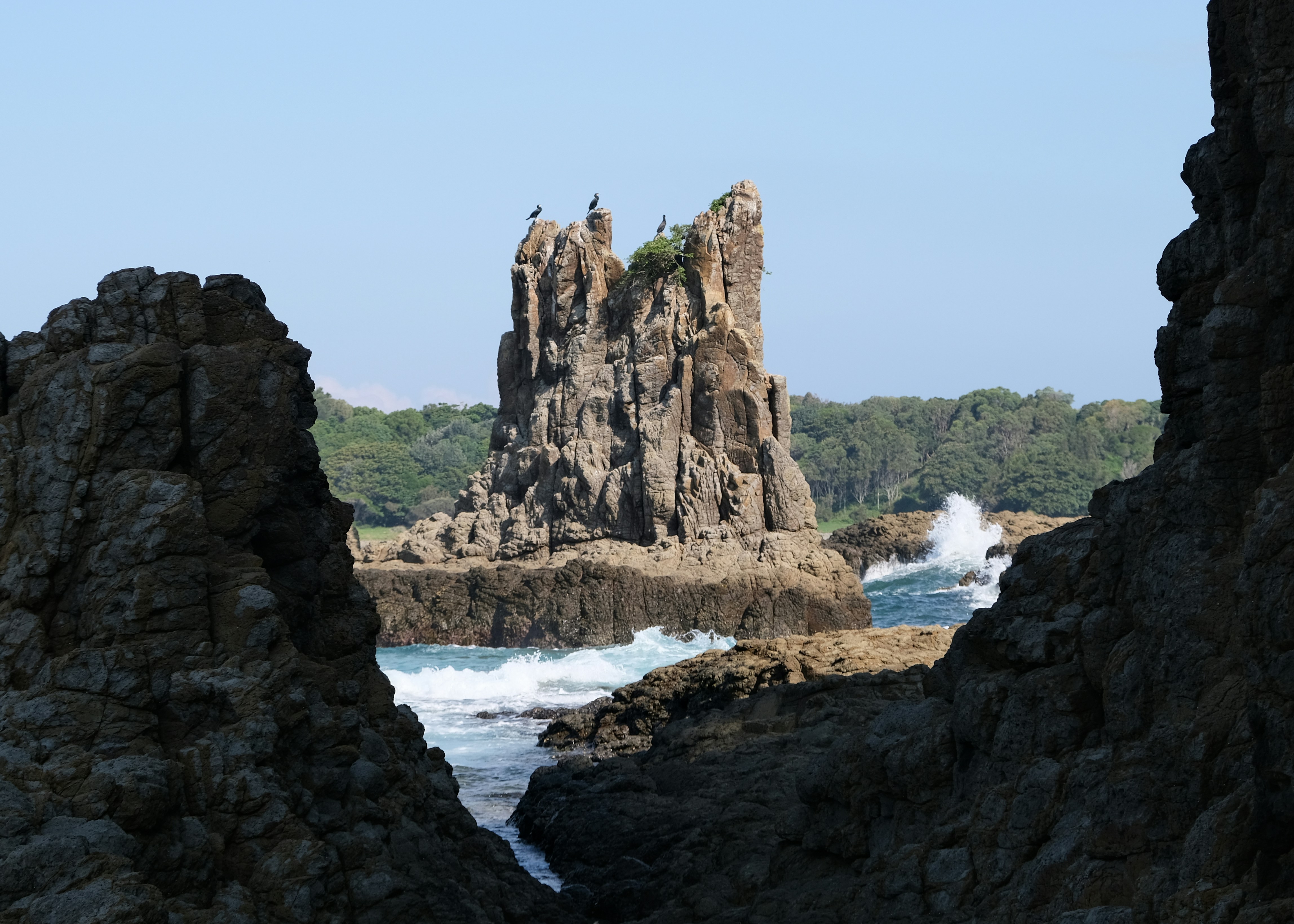 Sea-stack Sentinel: A Pair of Raptors Above the Tidal Rock