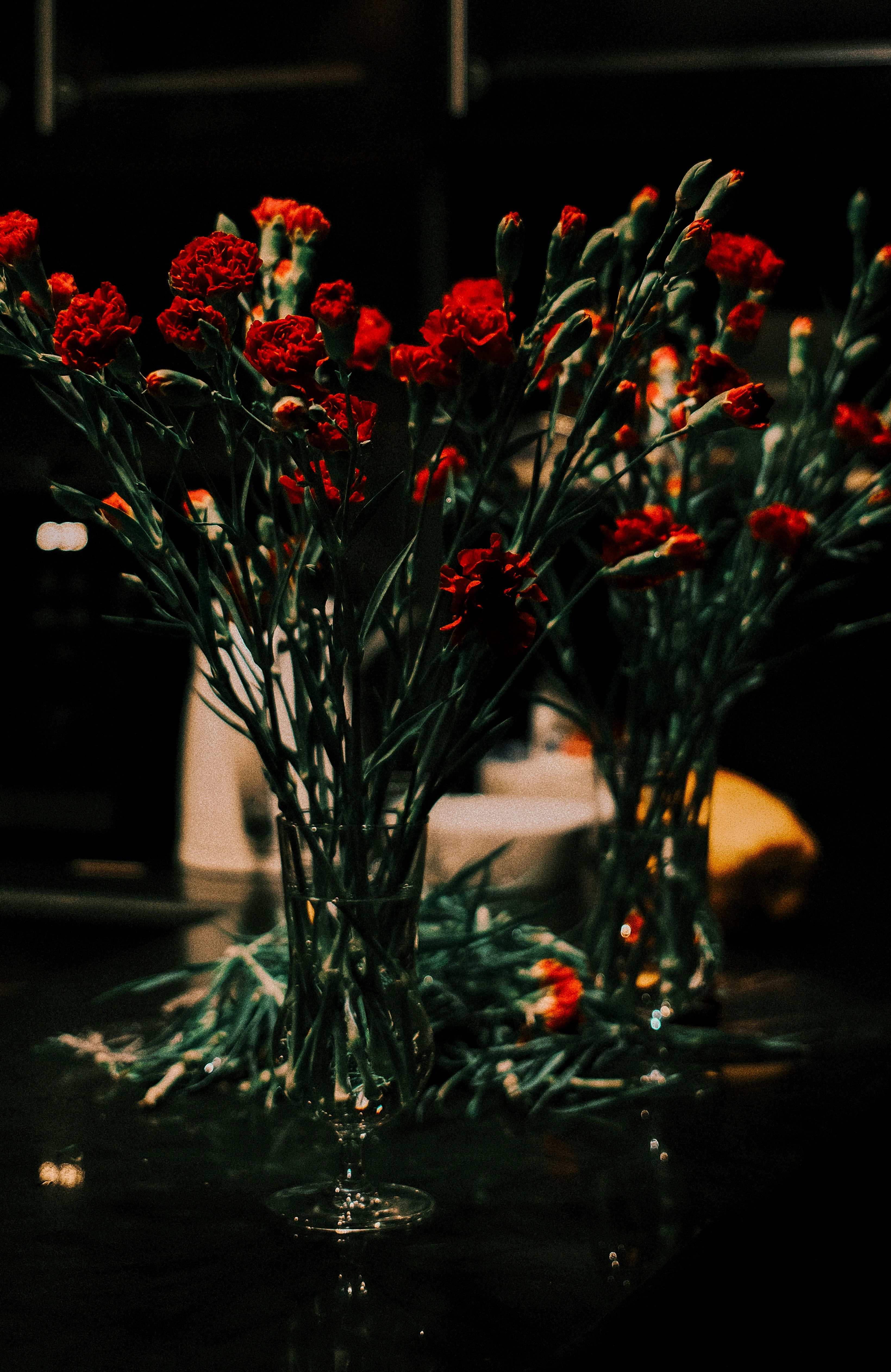 Crimson Crescendo: Red Carnations in a Dim Still-Life
