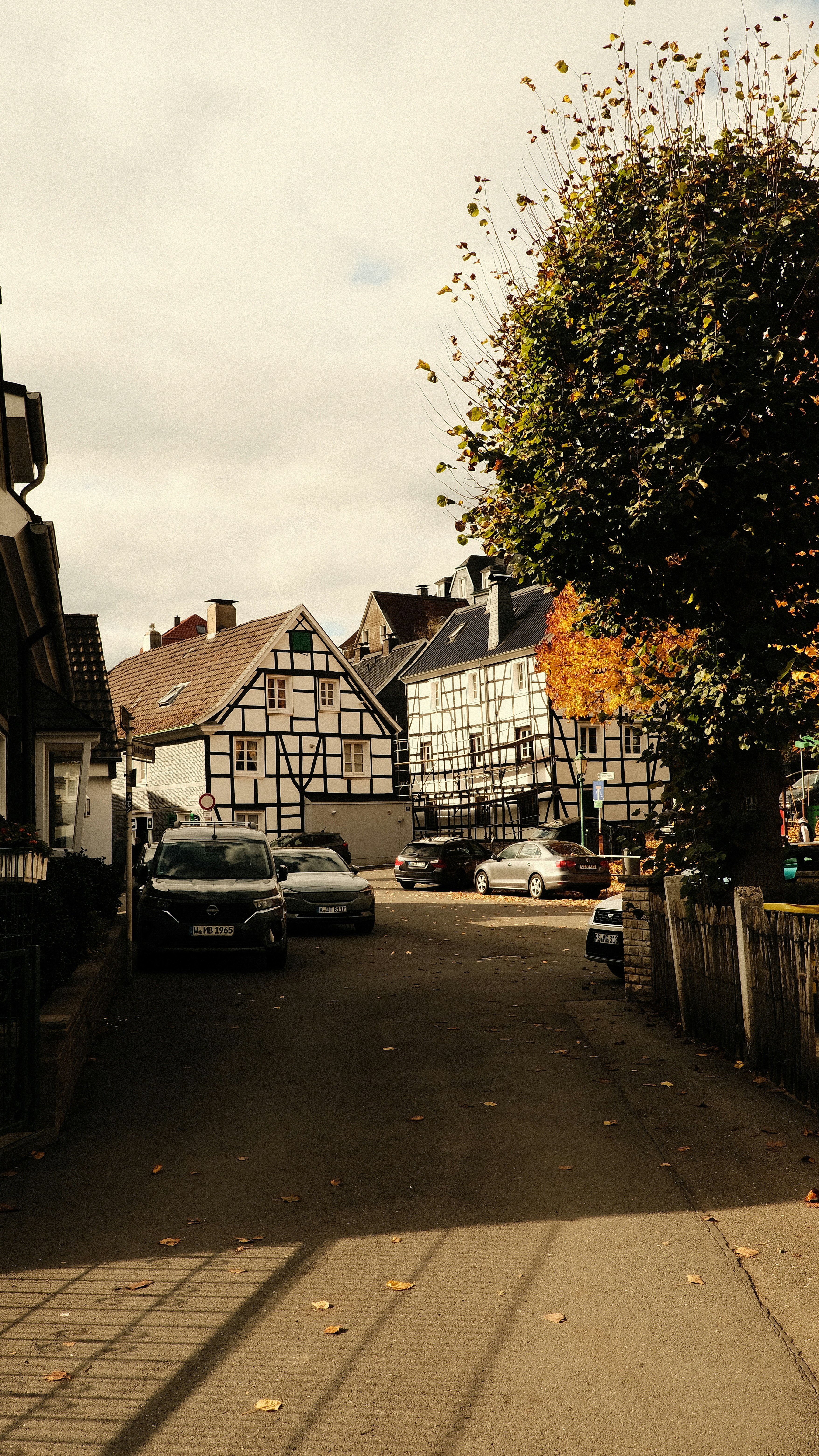 European village street in autumn light with half-timbered houses