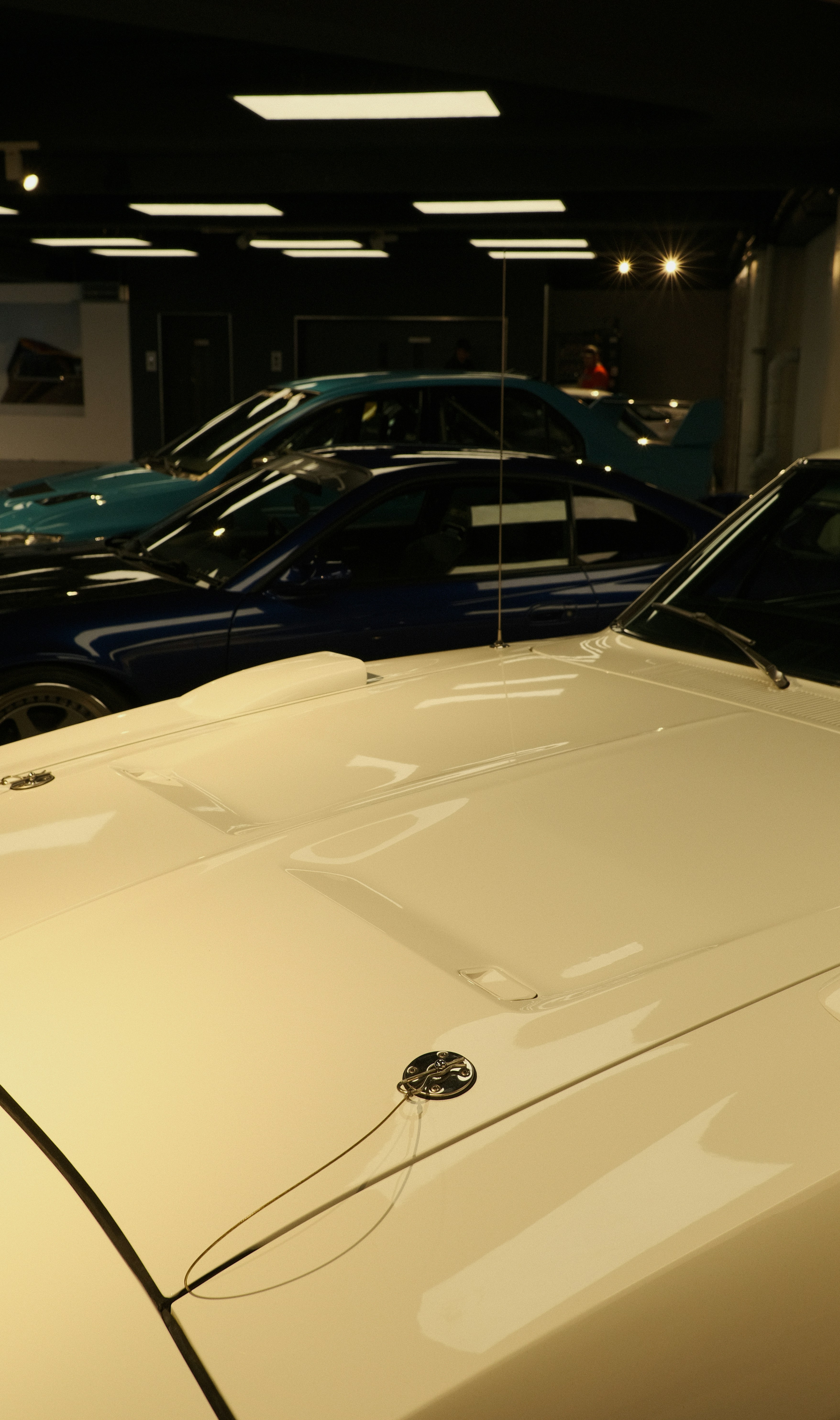 Chrome Reflections: A Quiet Lineup in a Car Gallery
