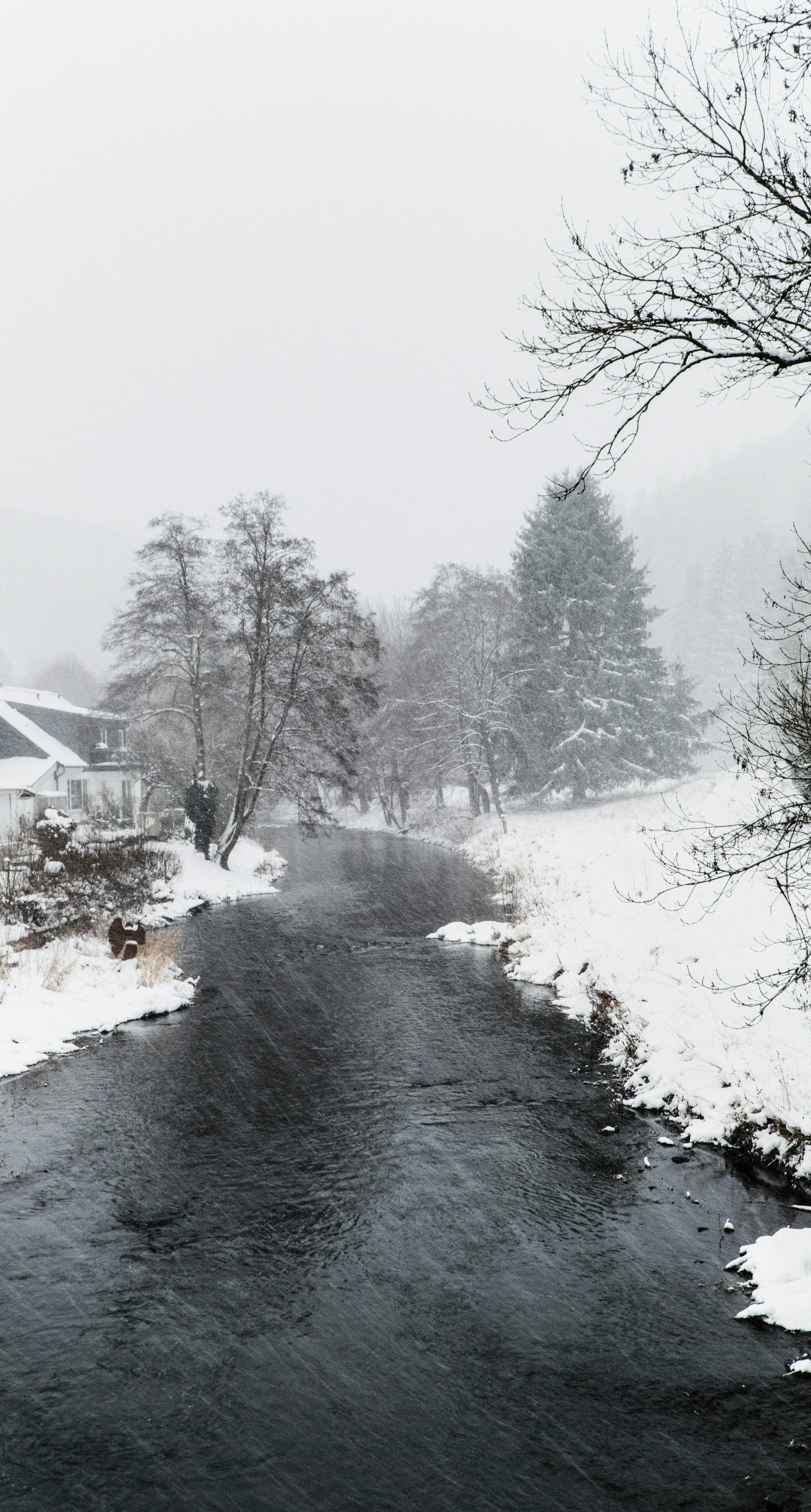 Winter River Reverie: Snow-Blanketed Banks and Quiet Flow