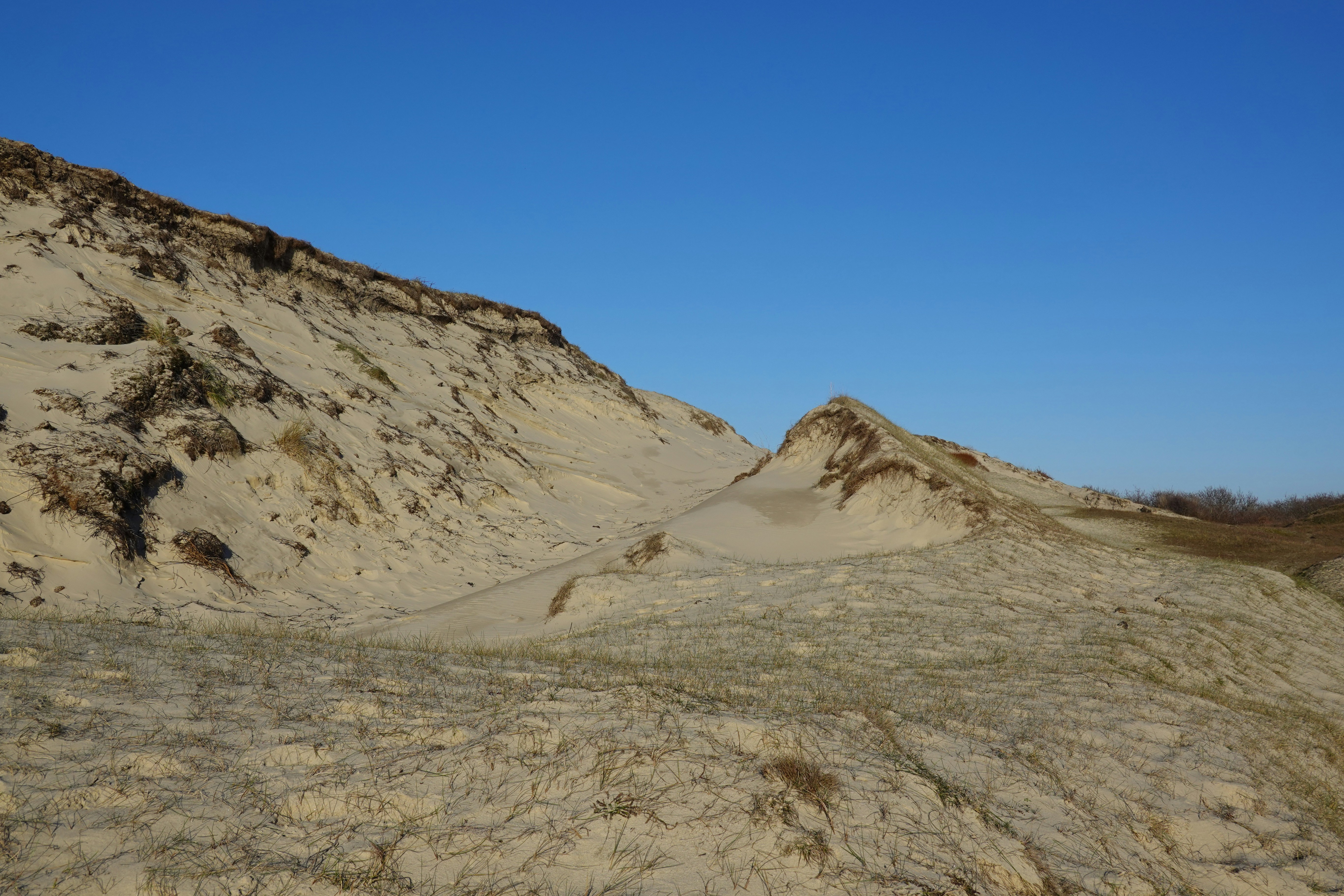 Dune Ridge Under a Clear Blue Span