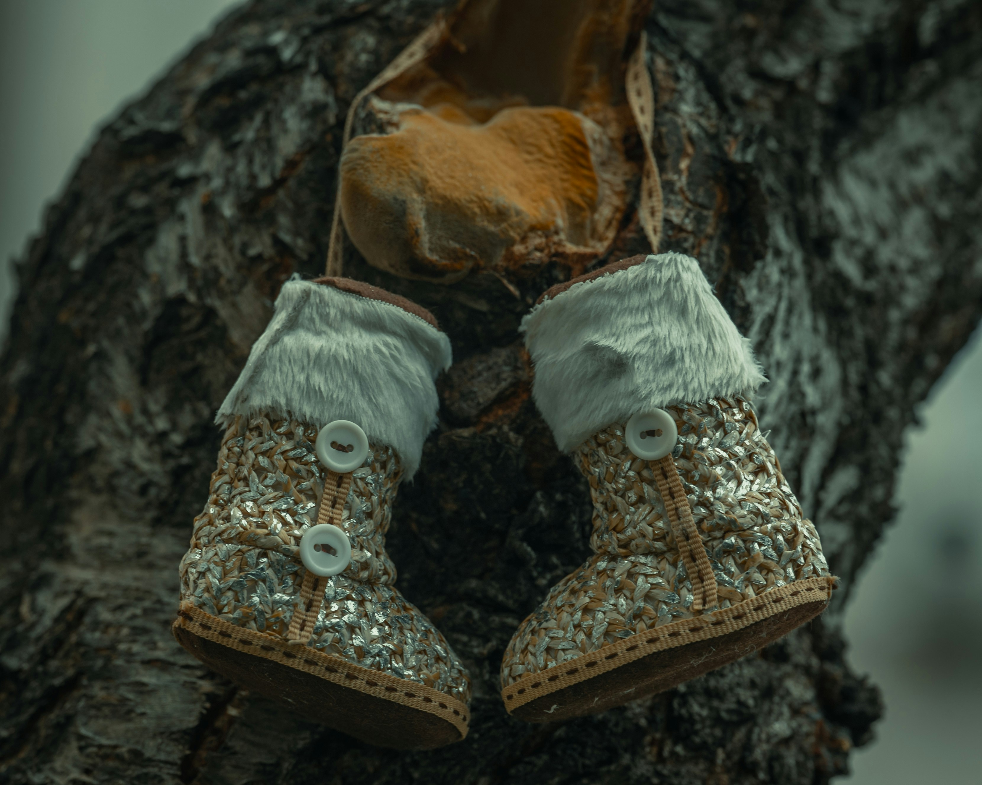 Tiny Boots on a Timber Stage