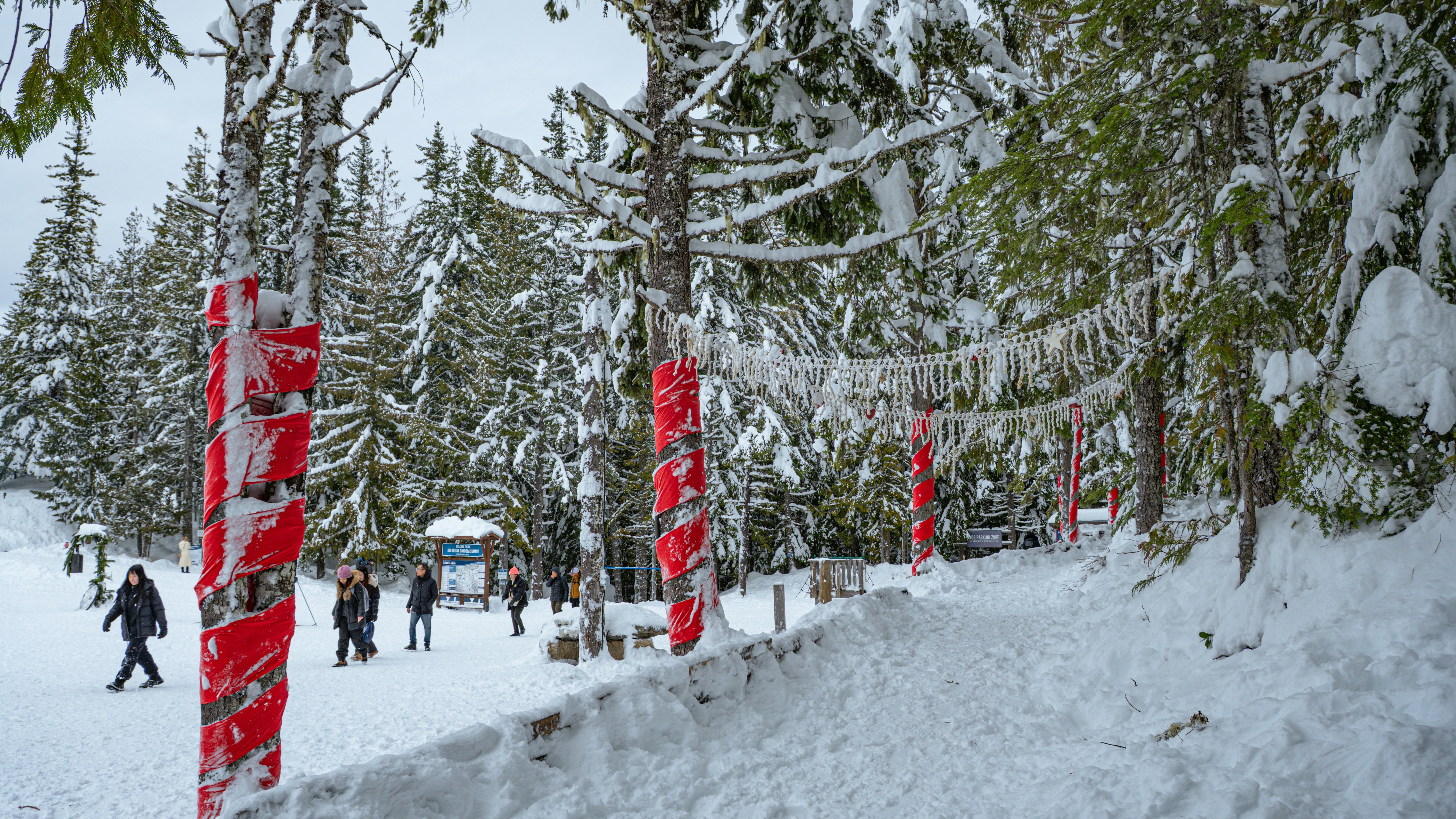 Snow Parade Under Candy-Cane Poles