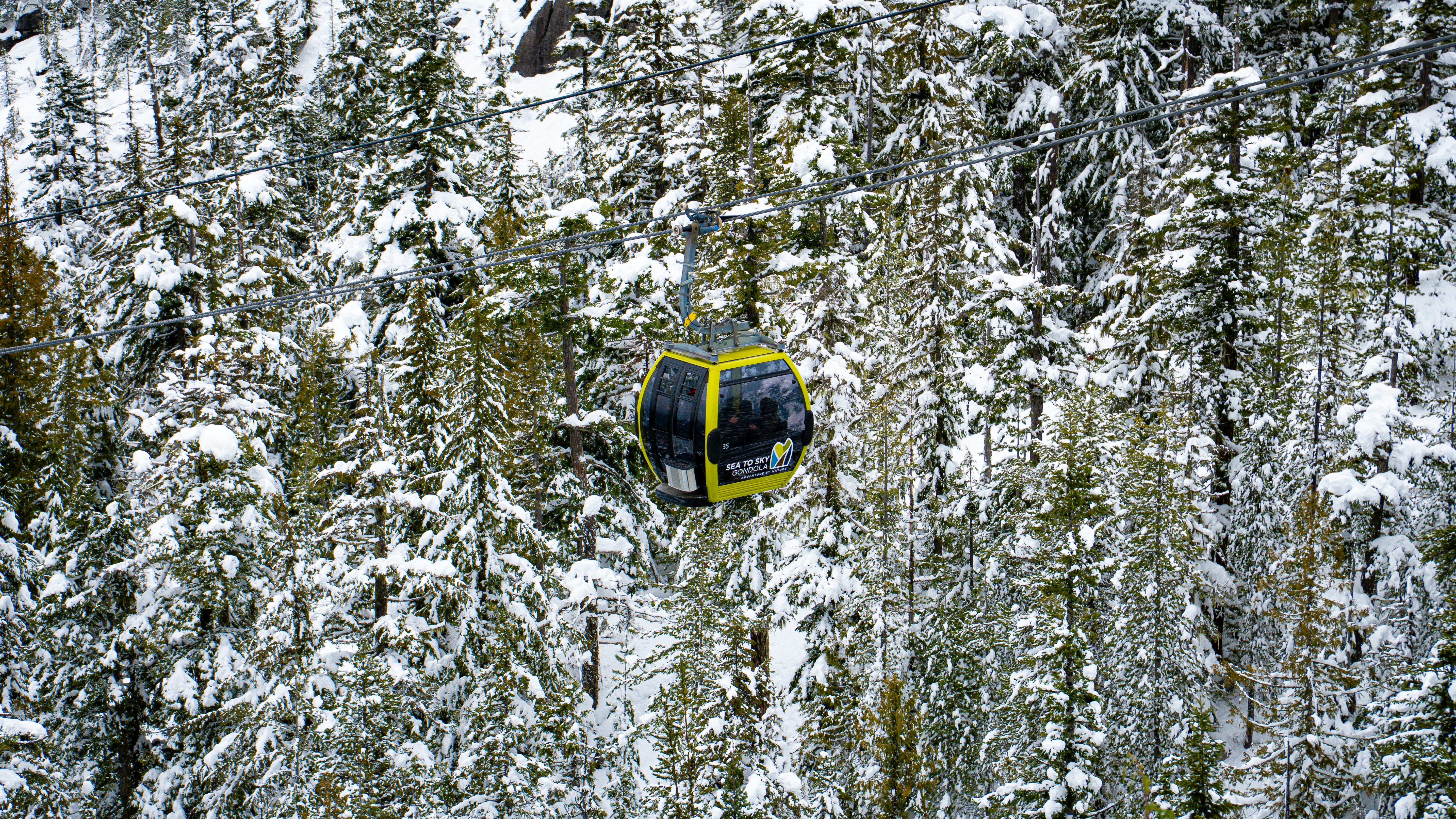 Snowbound Lift: A Yellow Gondola Drifts Through White Pines