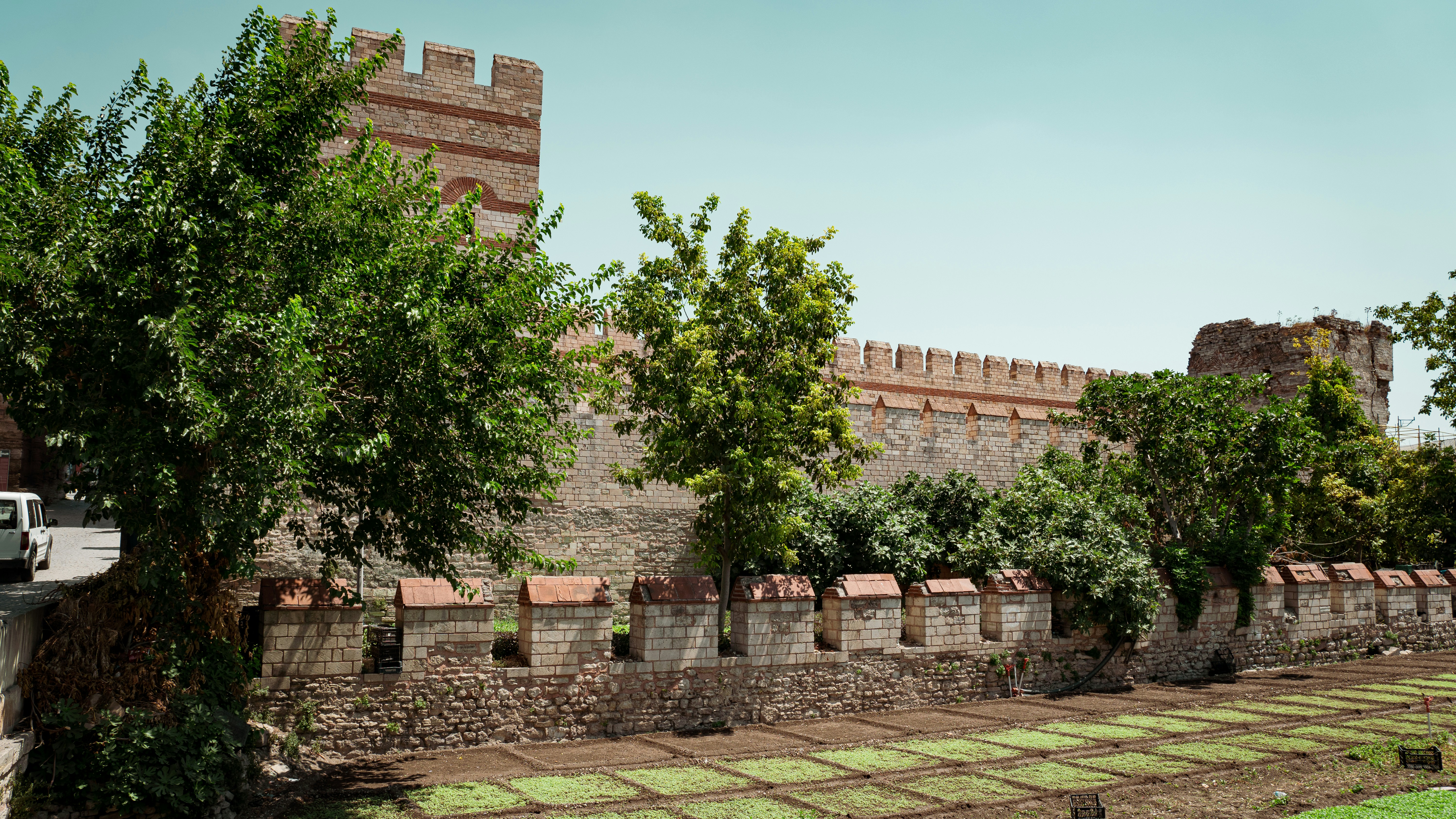 Ancient Wall Shoreline: Trees Framing a Historic Fortress