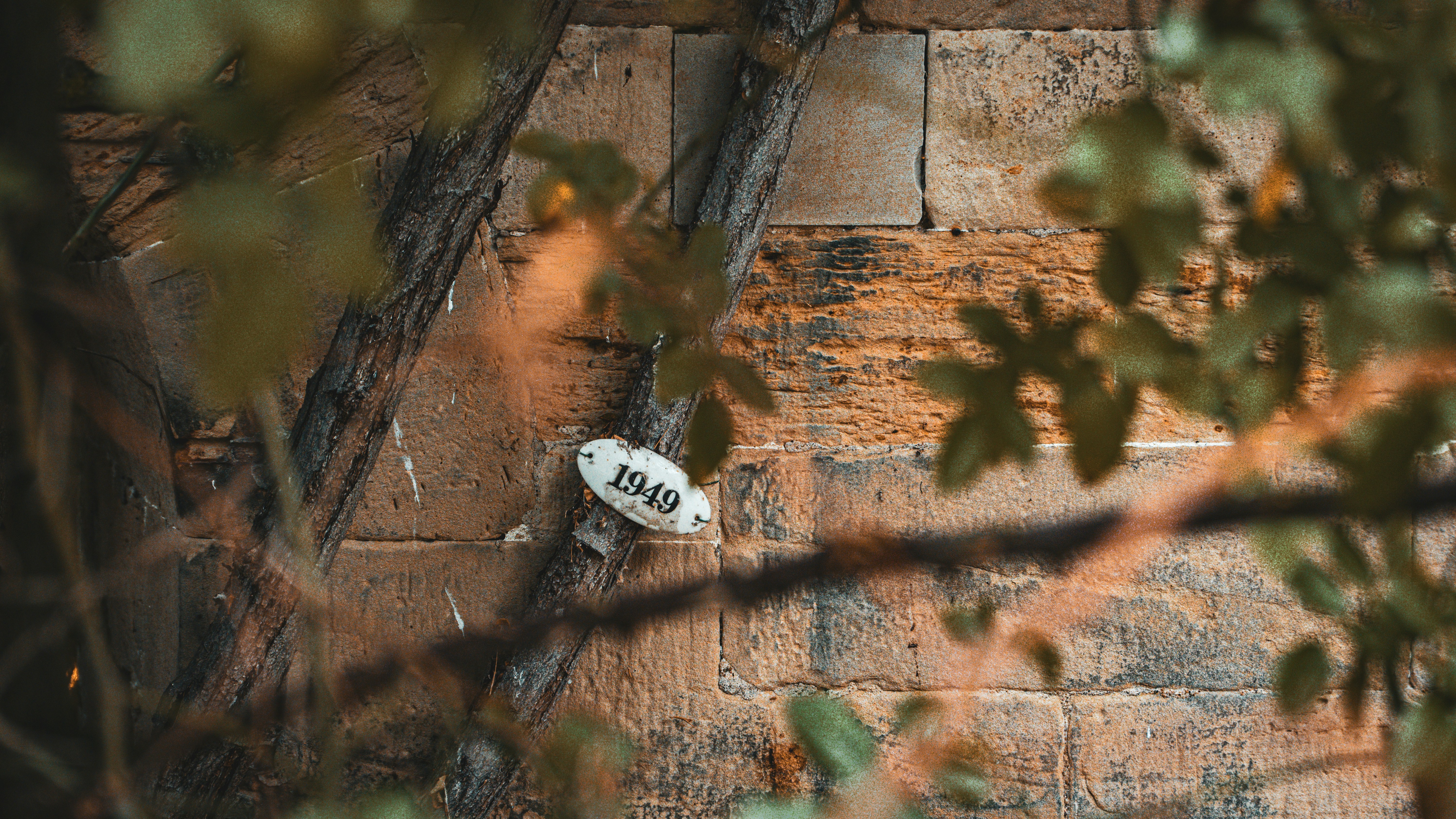Brick Wall with Frayed Tag: A Hidden Marker in the Garden Wall