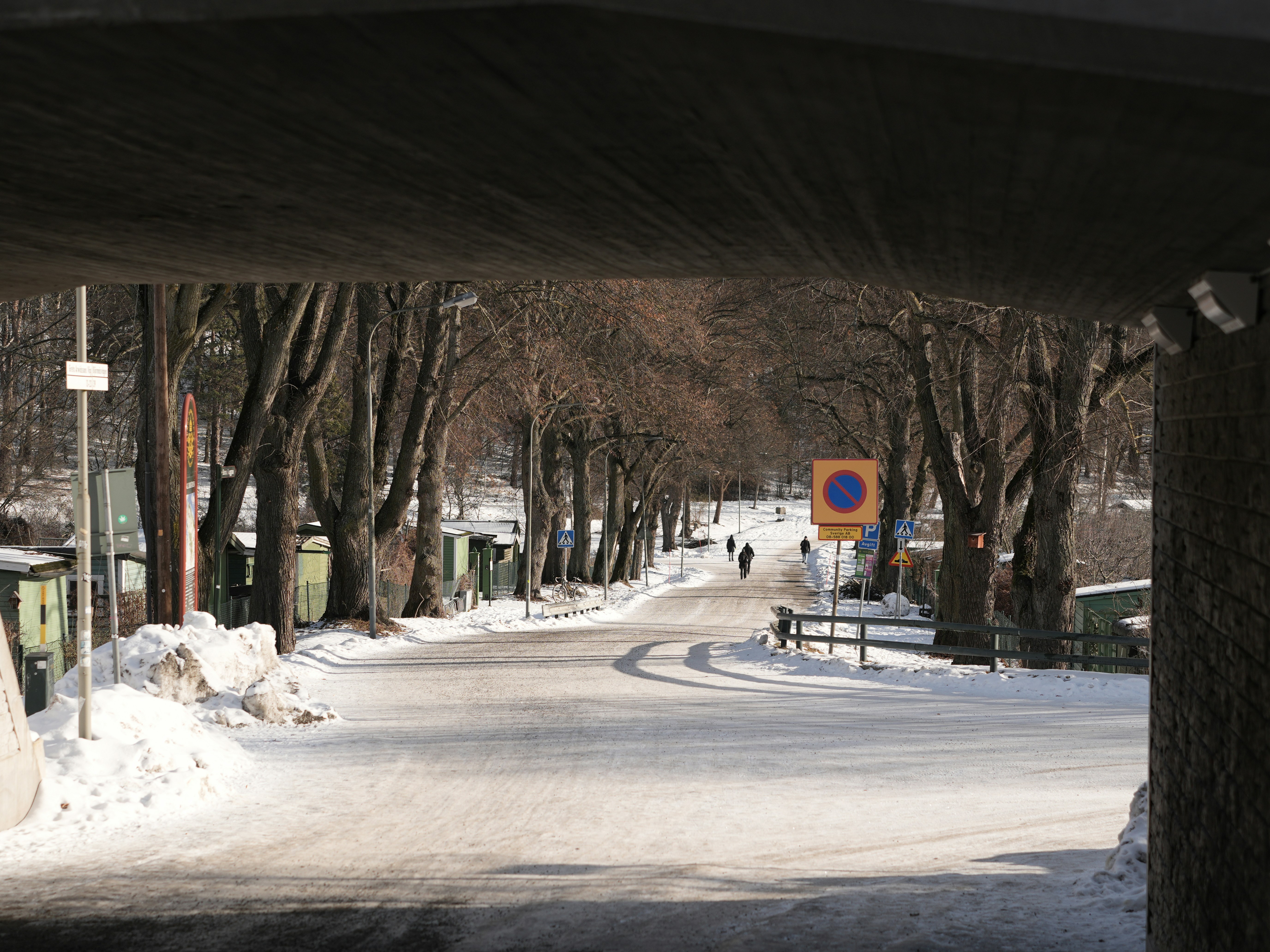 Snowy Underpass Nebula: A Quiet Path Through Winter Light