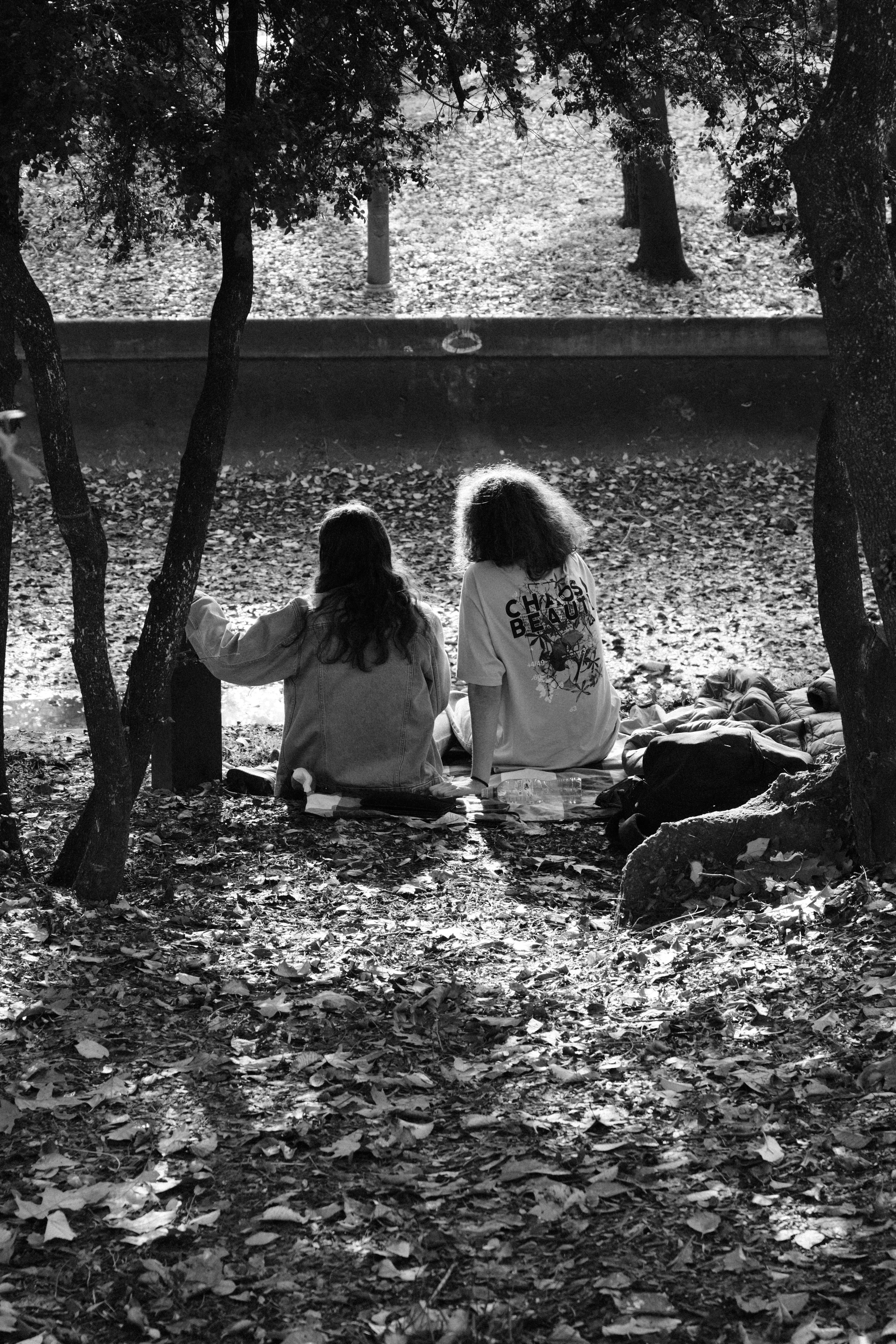 Two Friends in Shade: Quiet Connection Under Autumn Canopy