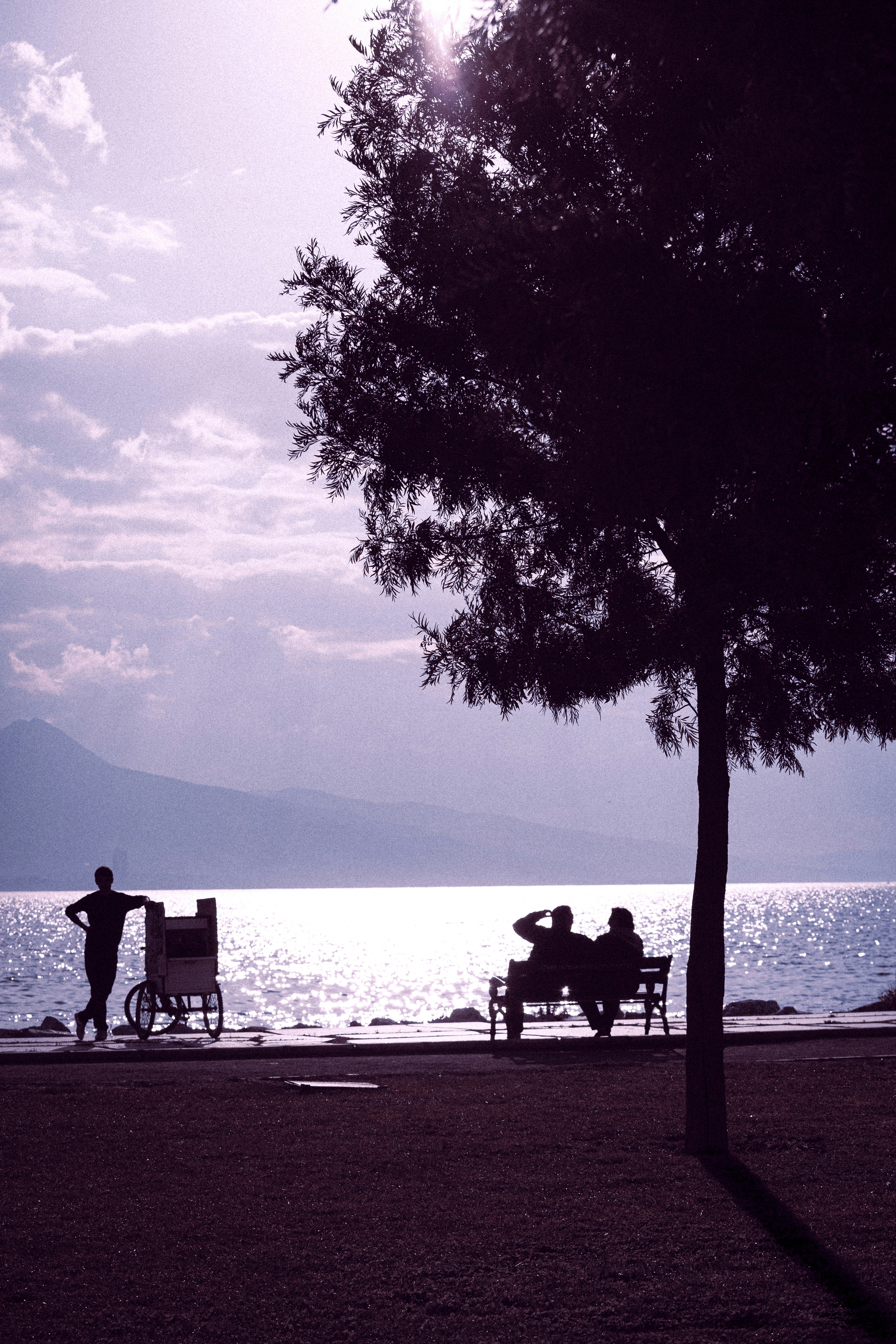 Sunlit silhouettes by the sea: a quiet shoreline moment