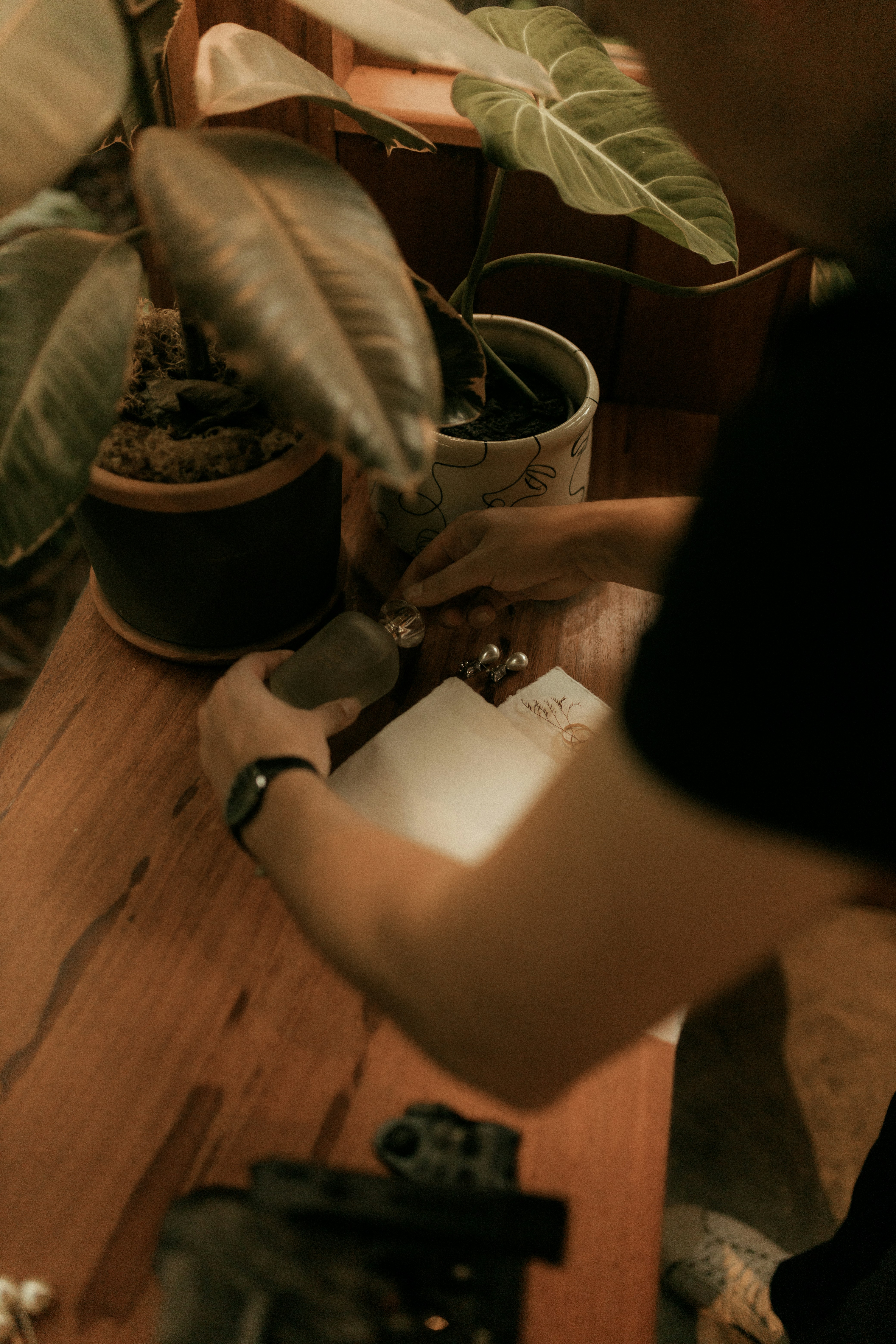 Hands at Work: An Intimate Moment with a Plant and Trinkets on a Wooden Table