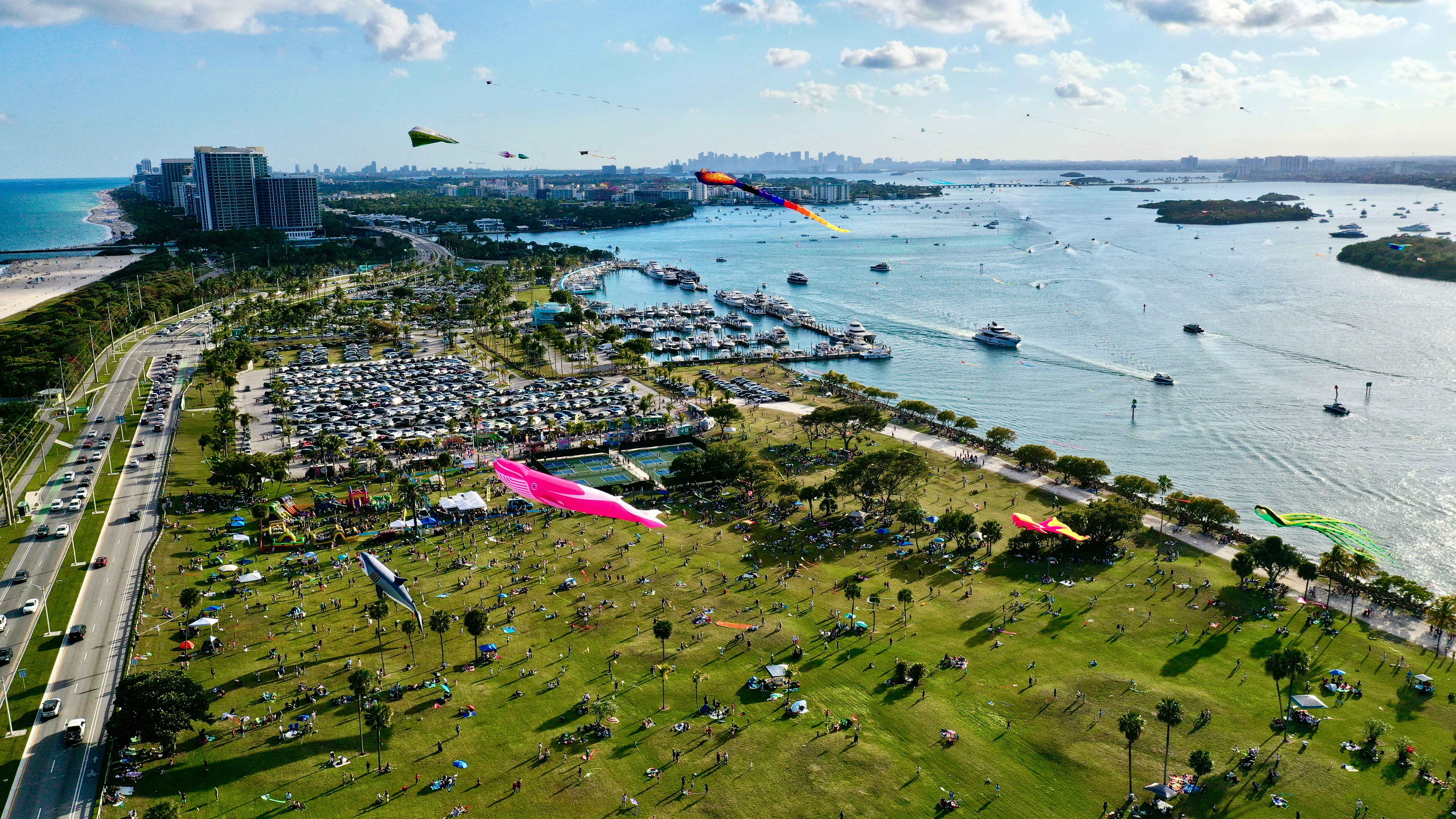 Kite Surfers Over a Sunlit Coastal Park