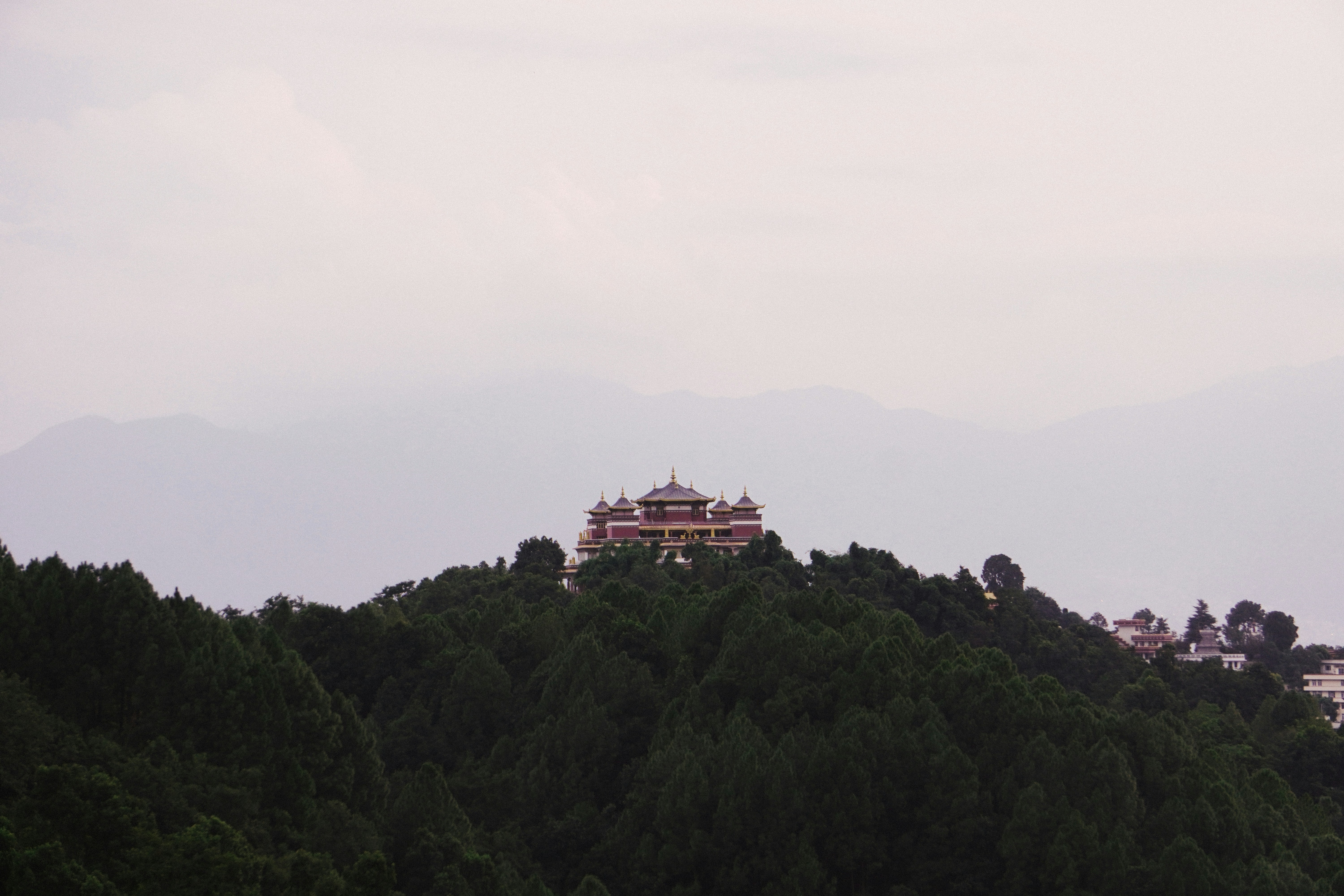 Hilltop Pagoda Rising Above the Green Canopy