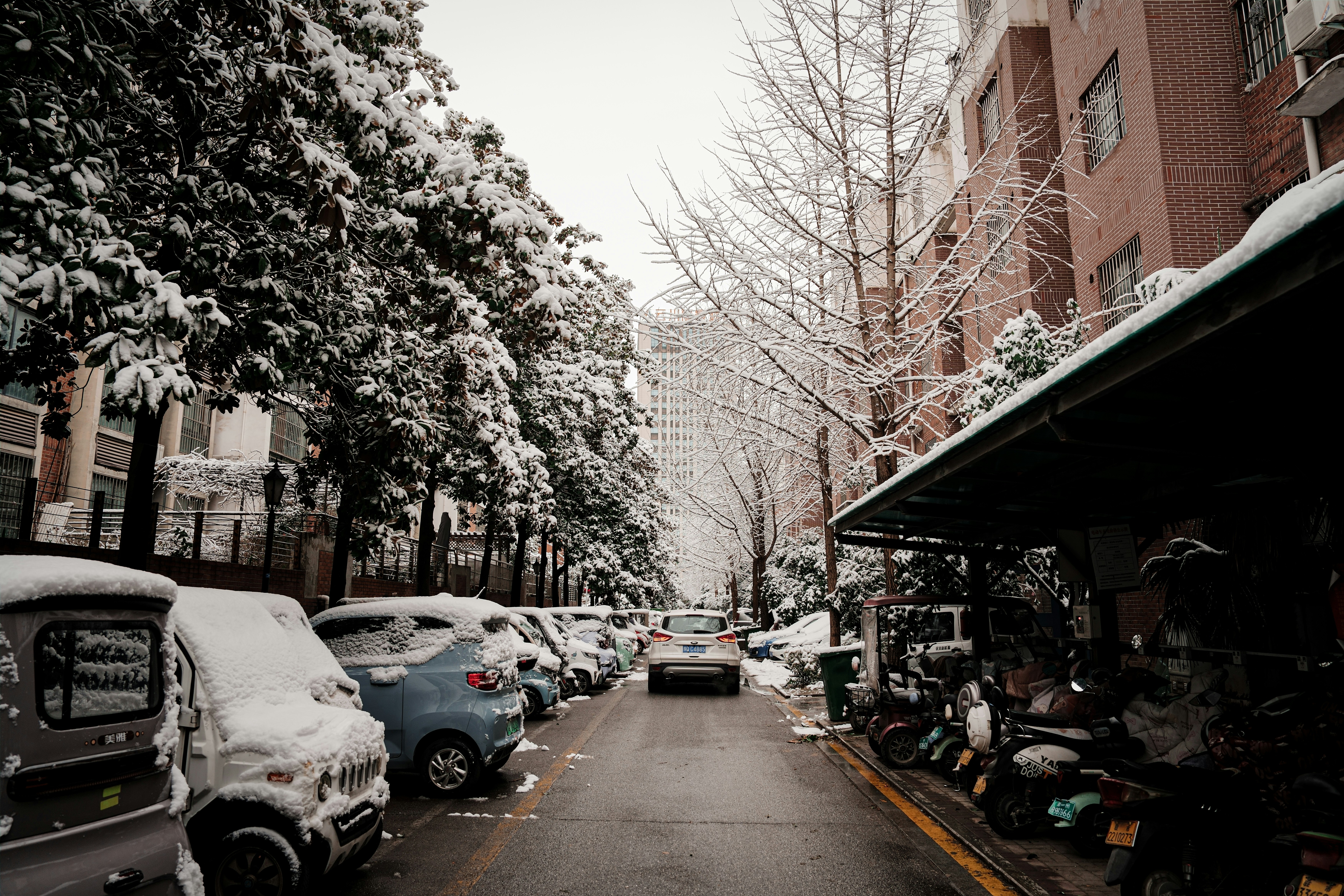 Snow-lined Street Corridor Framing a Quiet Urban Morning
