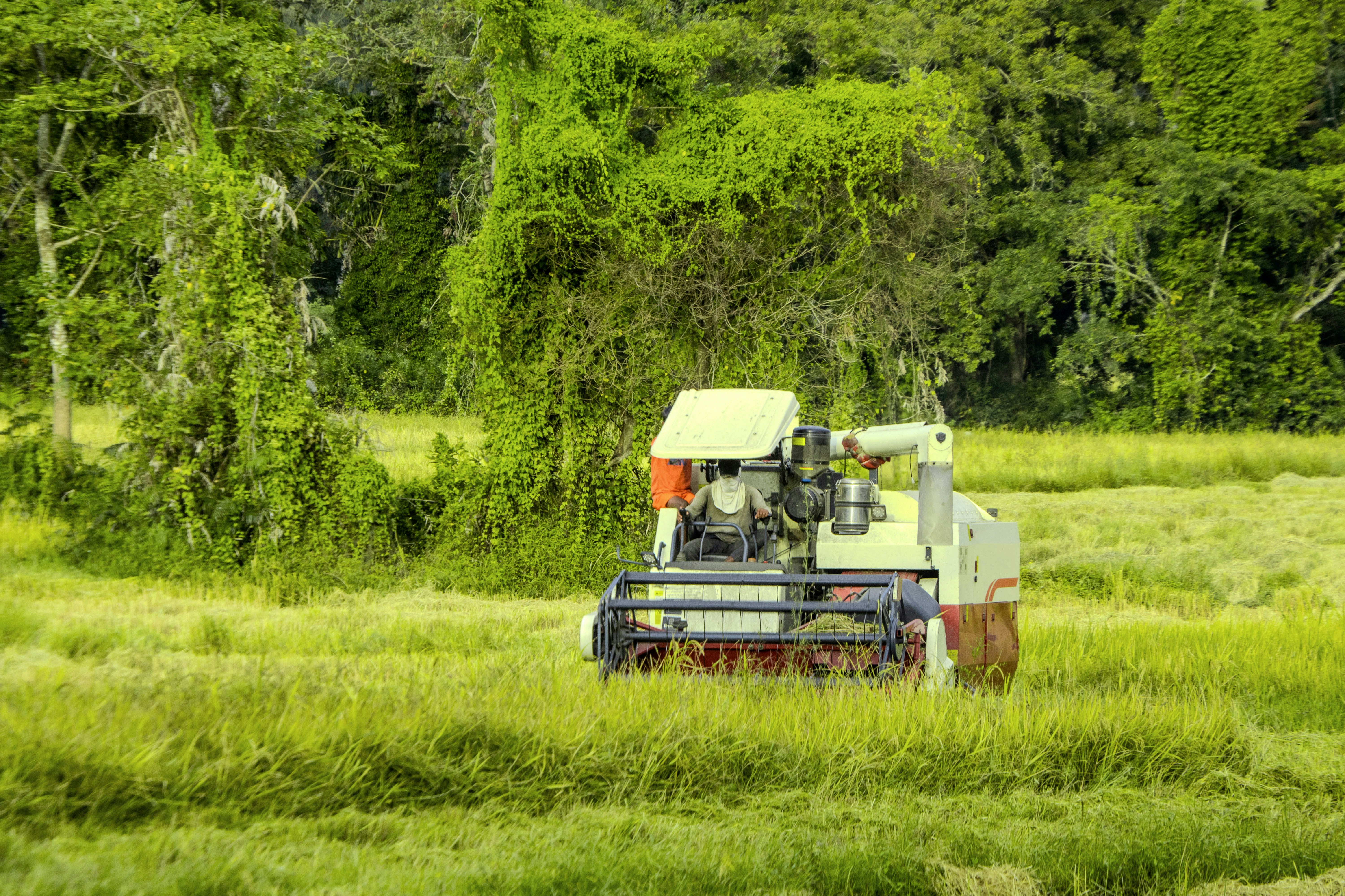 Harvest Field Driver: A Farm Machine Under Dappled Light