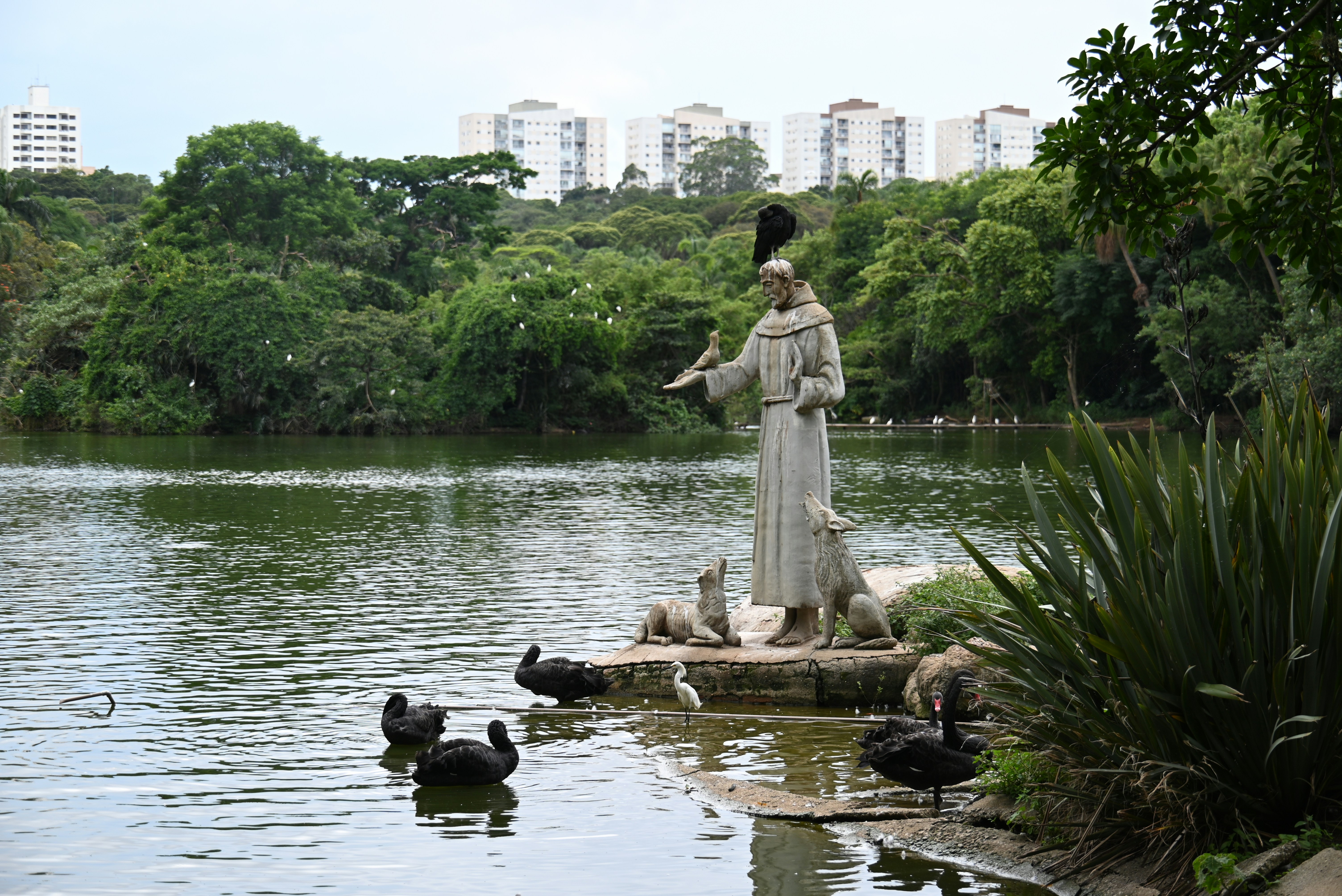 Statue on the Quiet Pond: A Figure Among Ducks