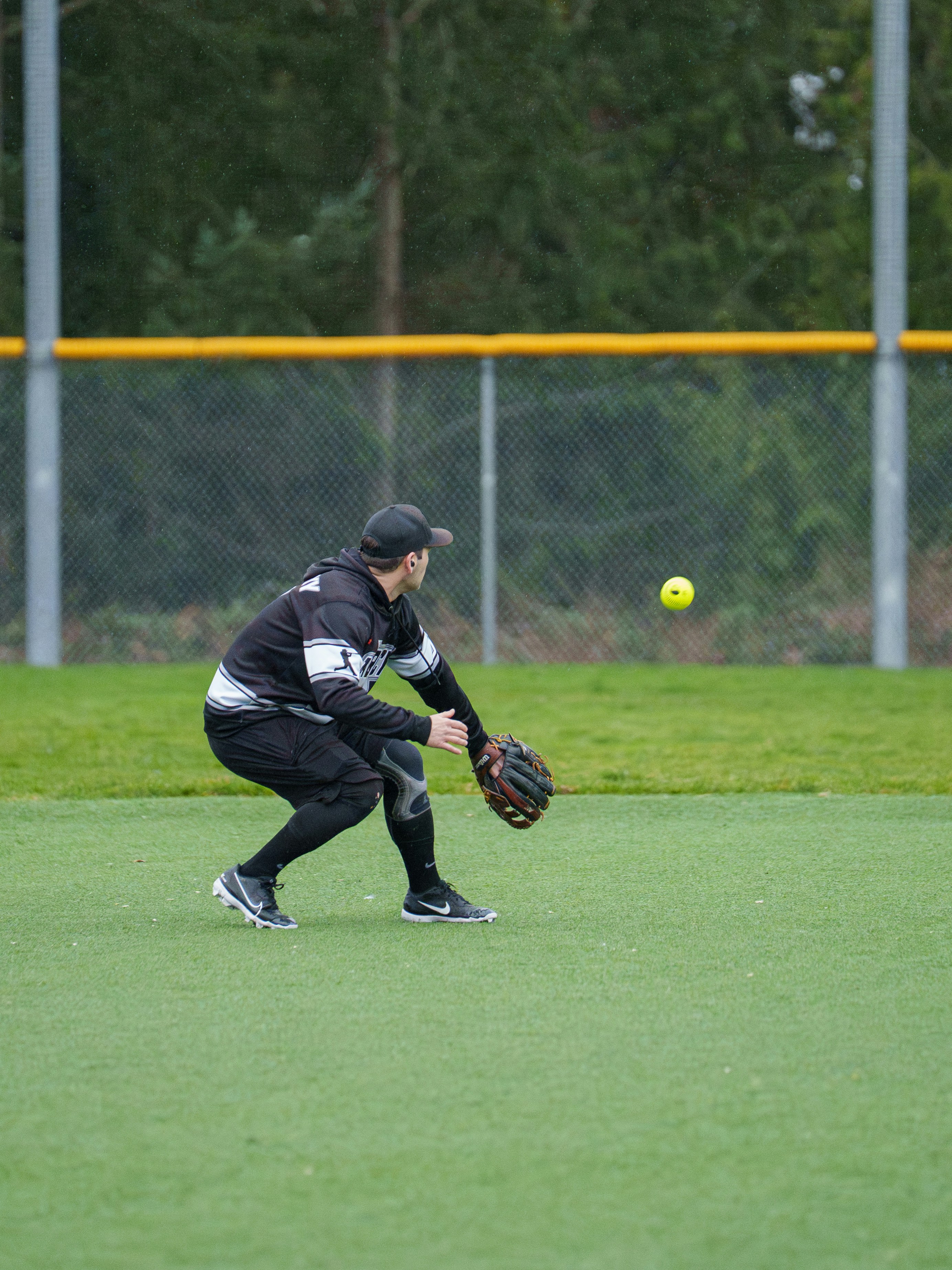 Lunge to the Glove: A Baseball Field Moment