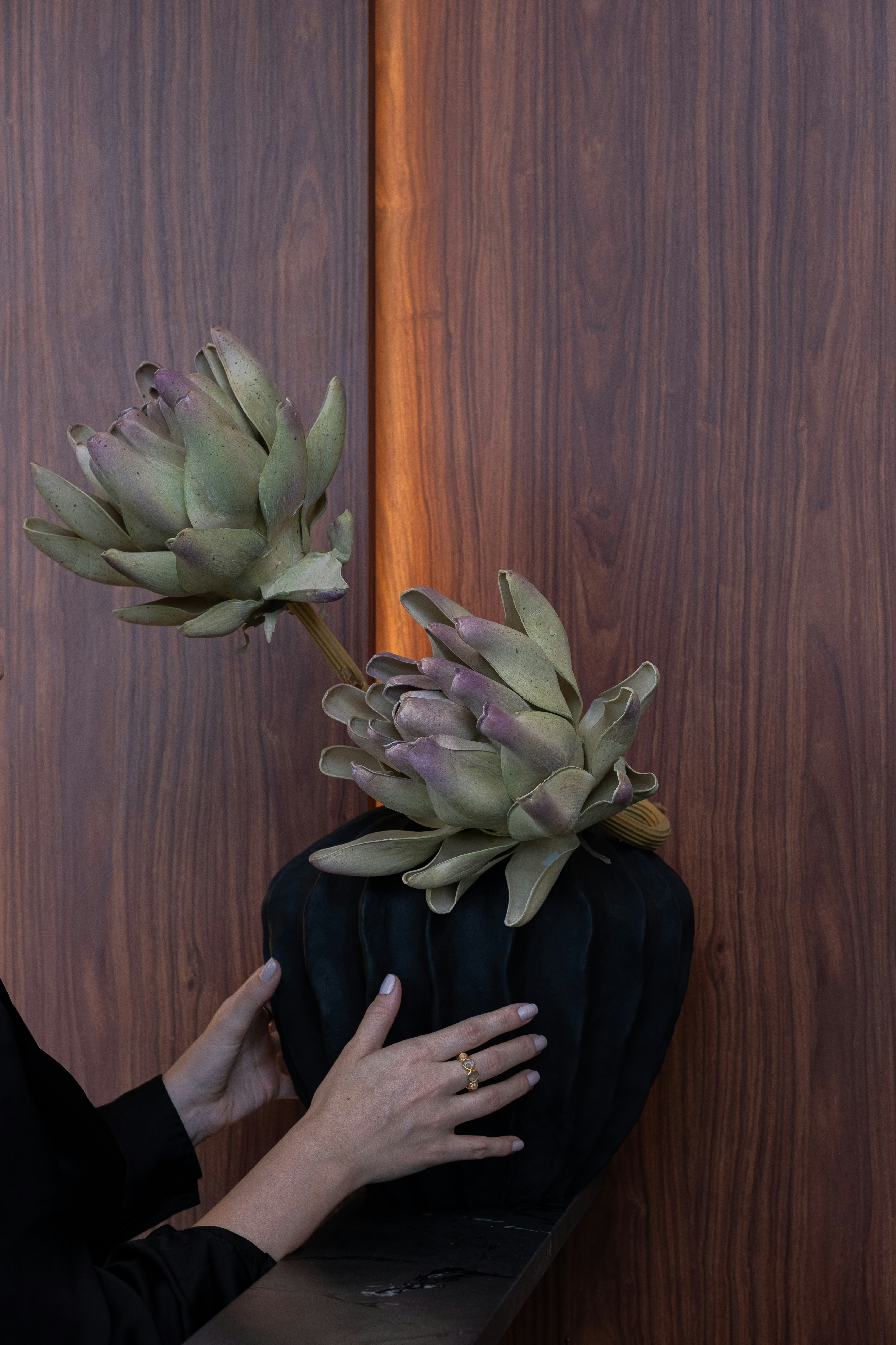 Succulent Duo in a Velvet Vessel Against Warm Wood