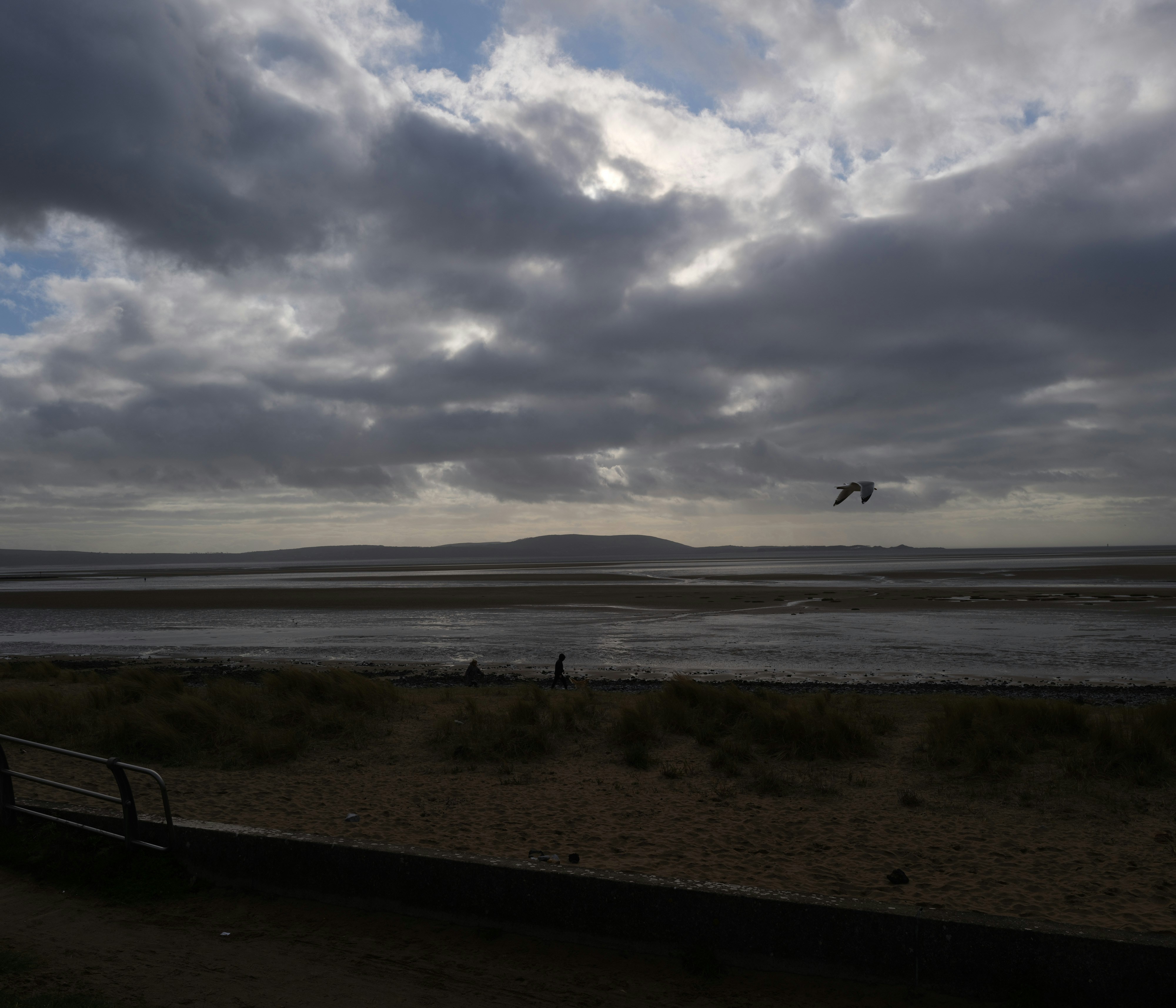 A kite flying over a beach at dusk.