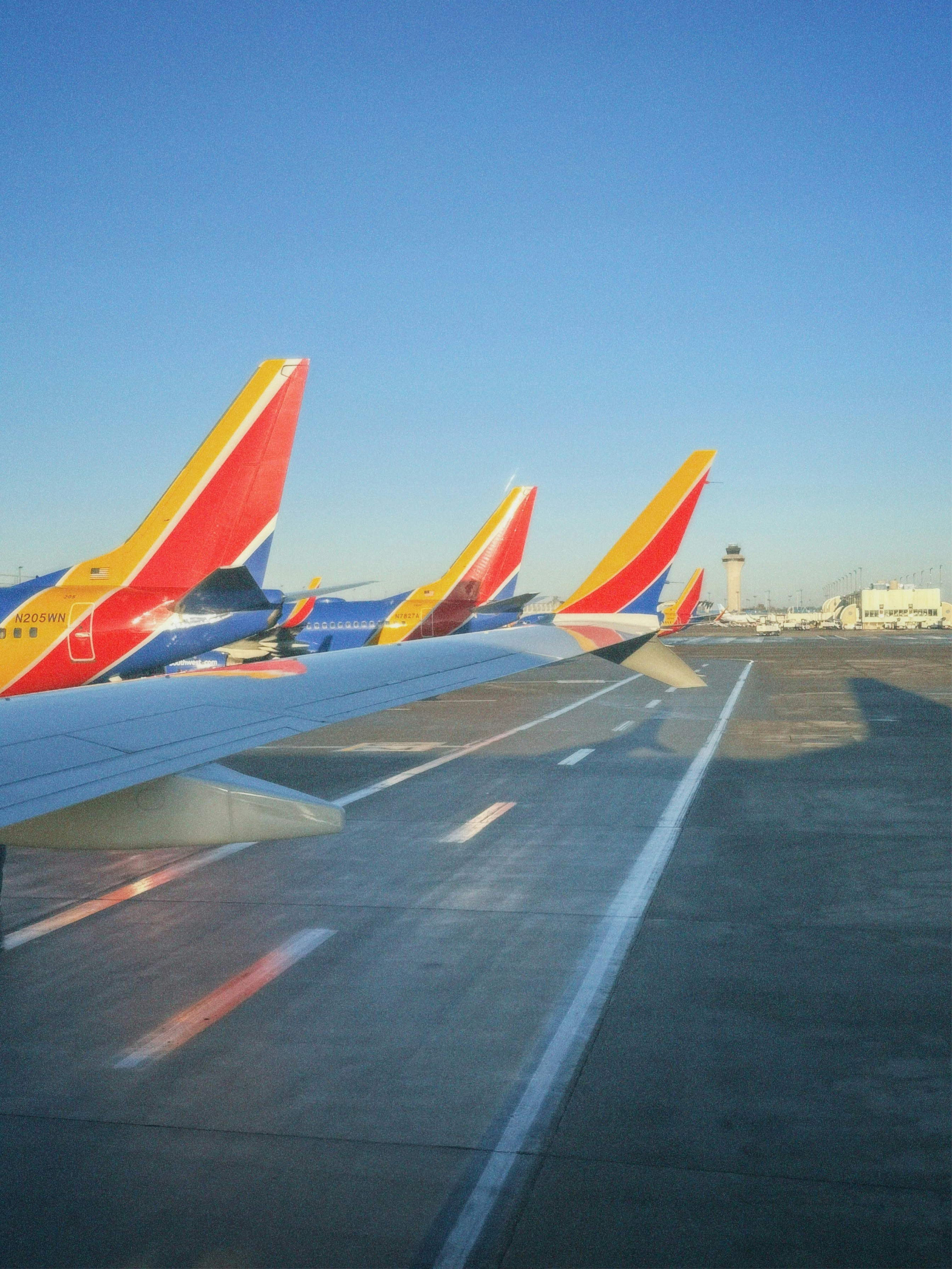 Trailing Tails: Airline Wings Dapple the Runway