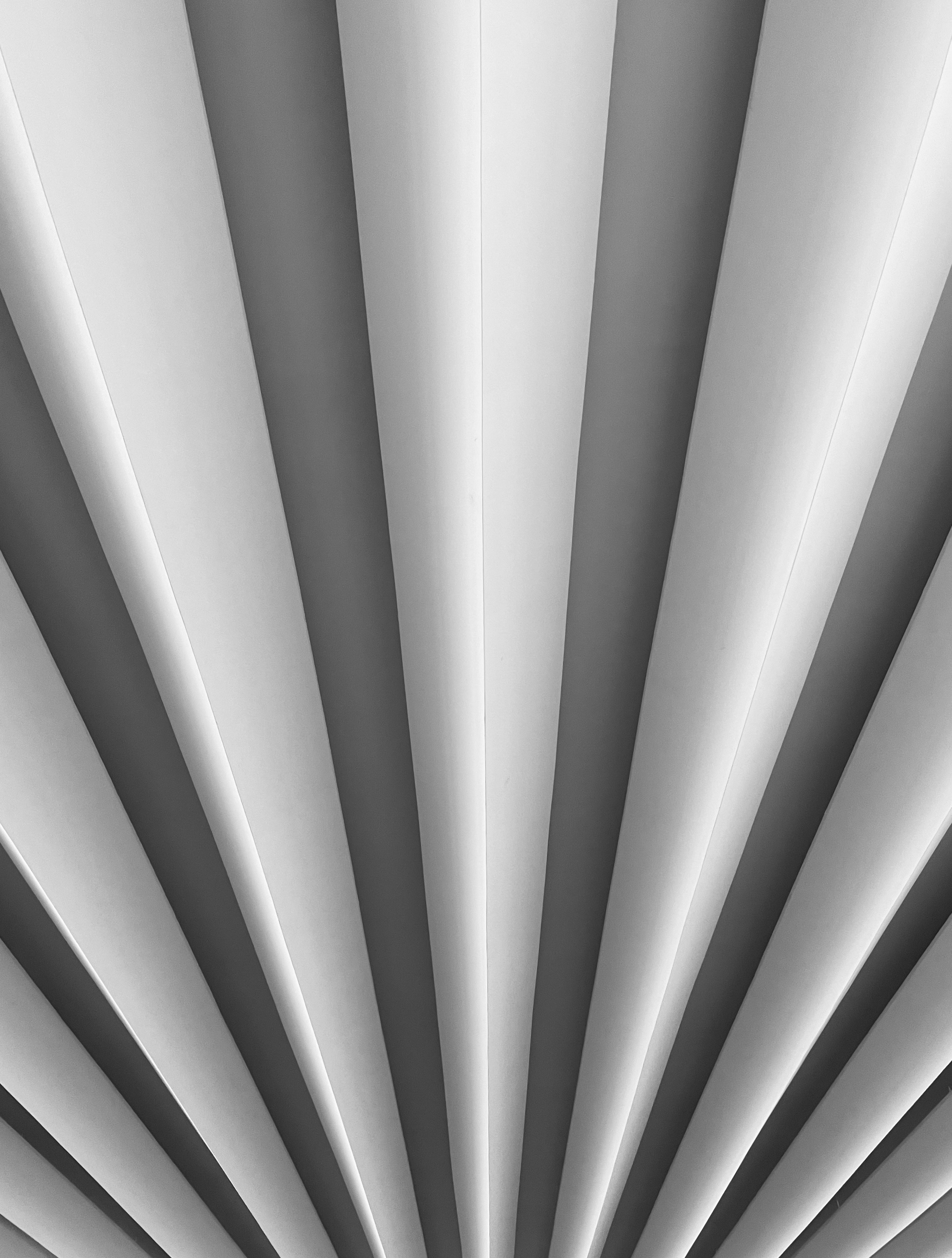 Radial Pleats: A Study in Light and Shadow