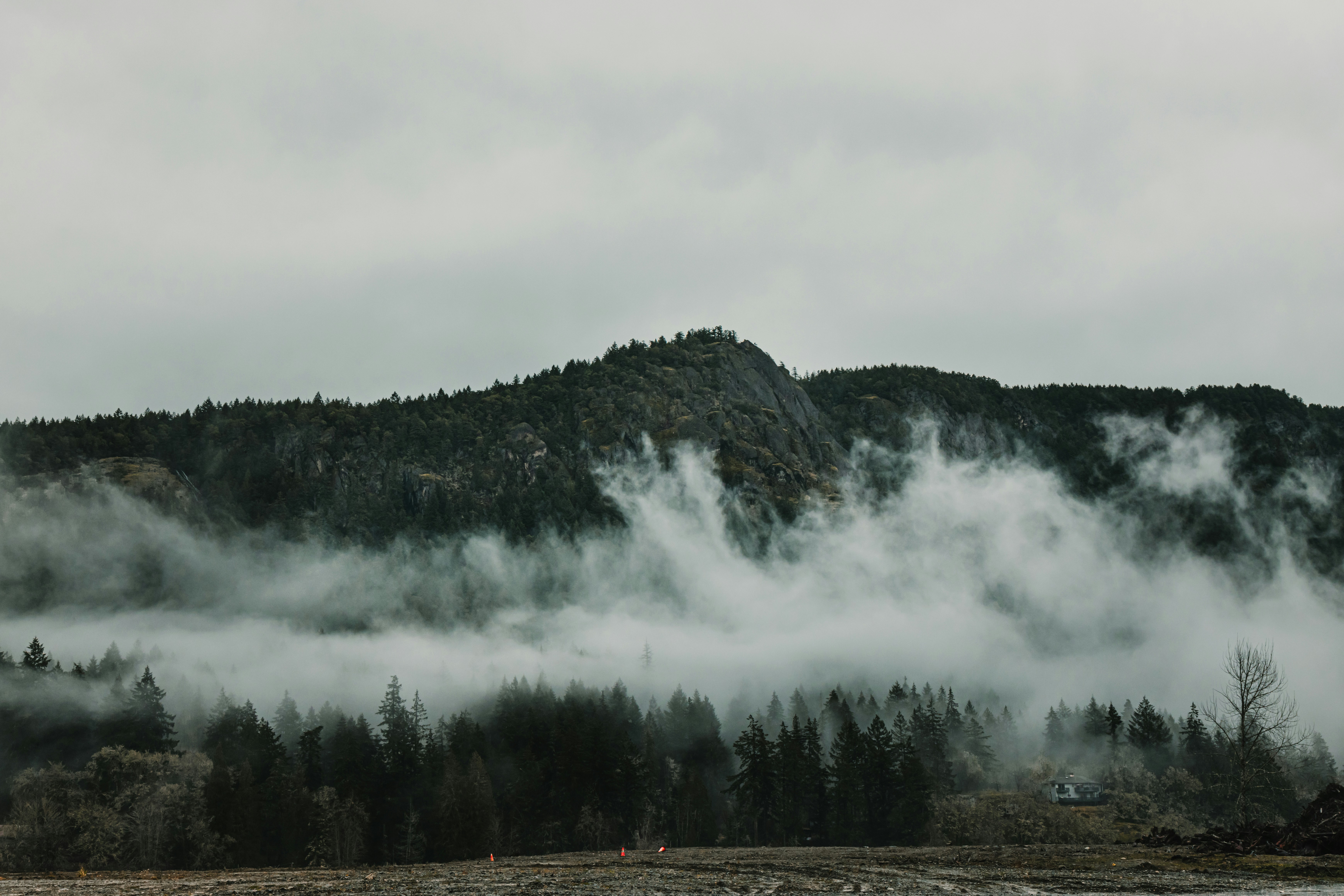 Mist Clad Ridge Over a Quiet Forest Basin
