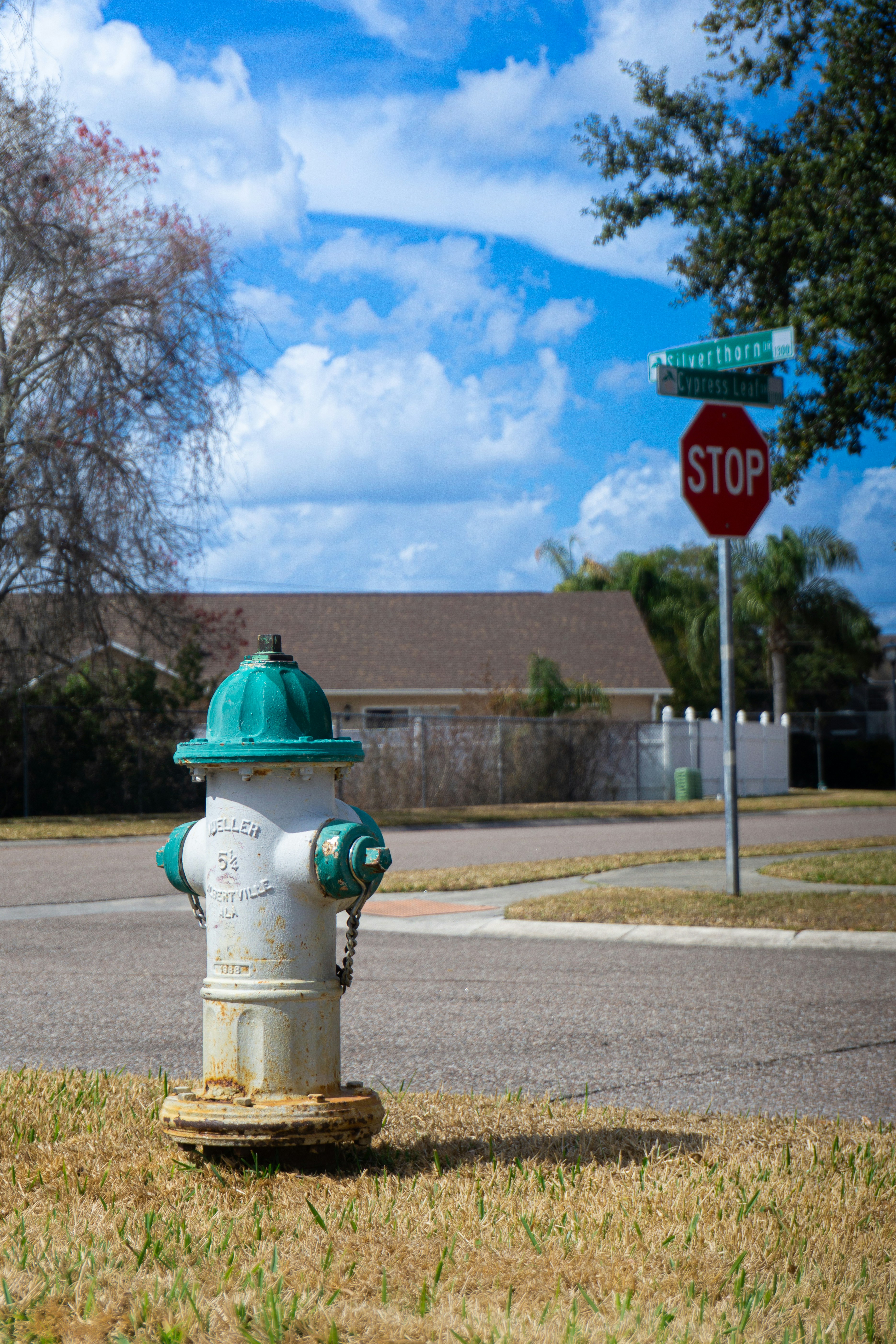 Street Corner Silence: A Weathered Hydrant Under a Bright Sky