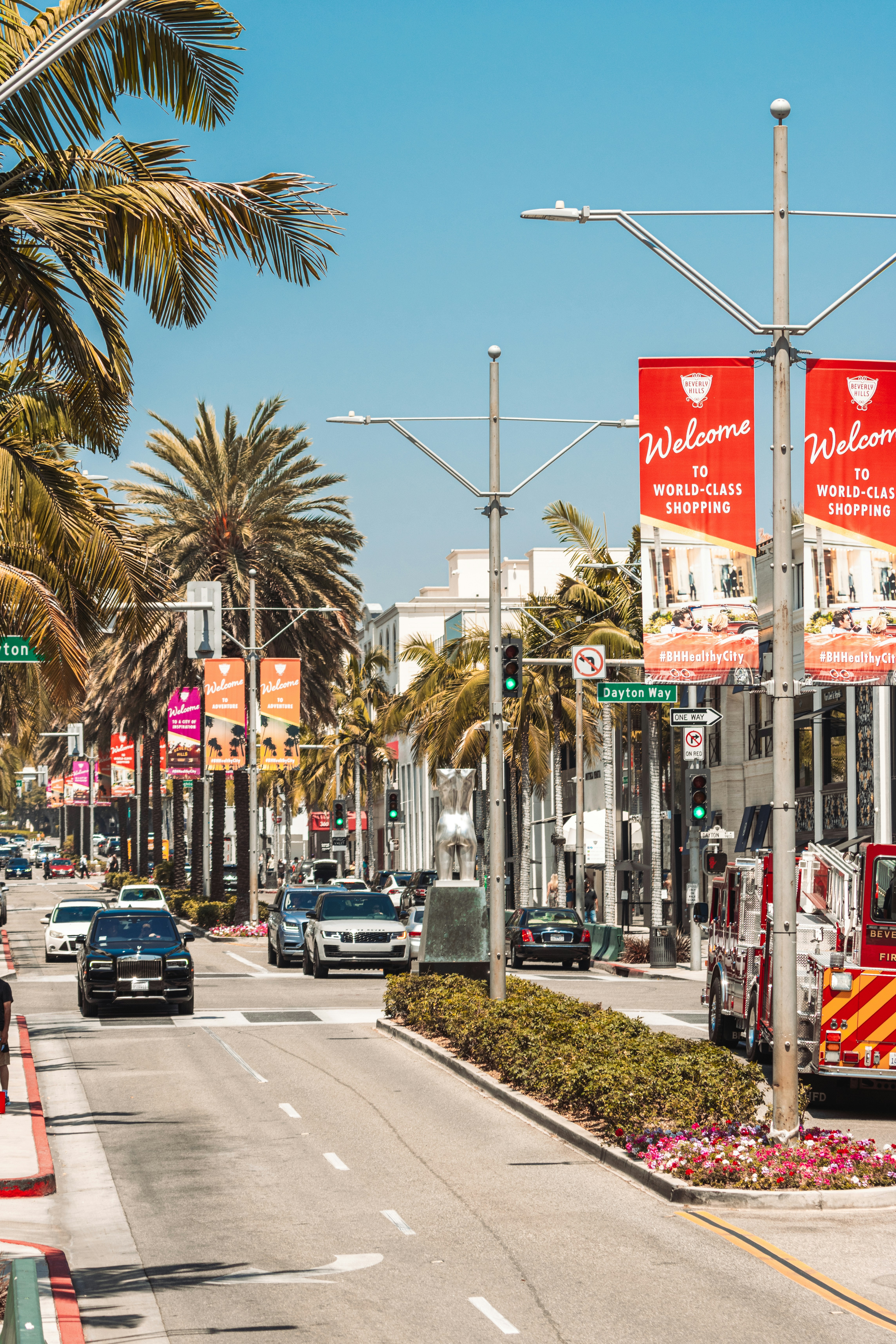 Sunlit Ocean of Palm-lined City Street