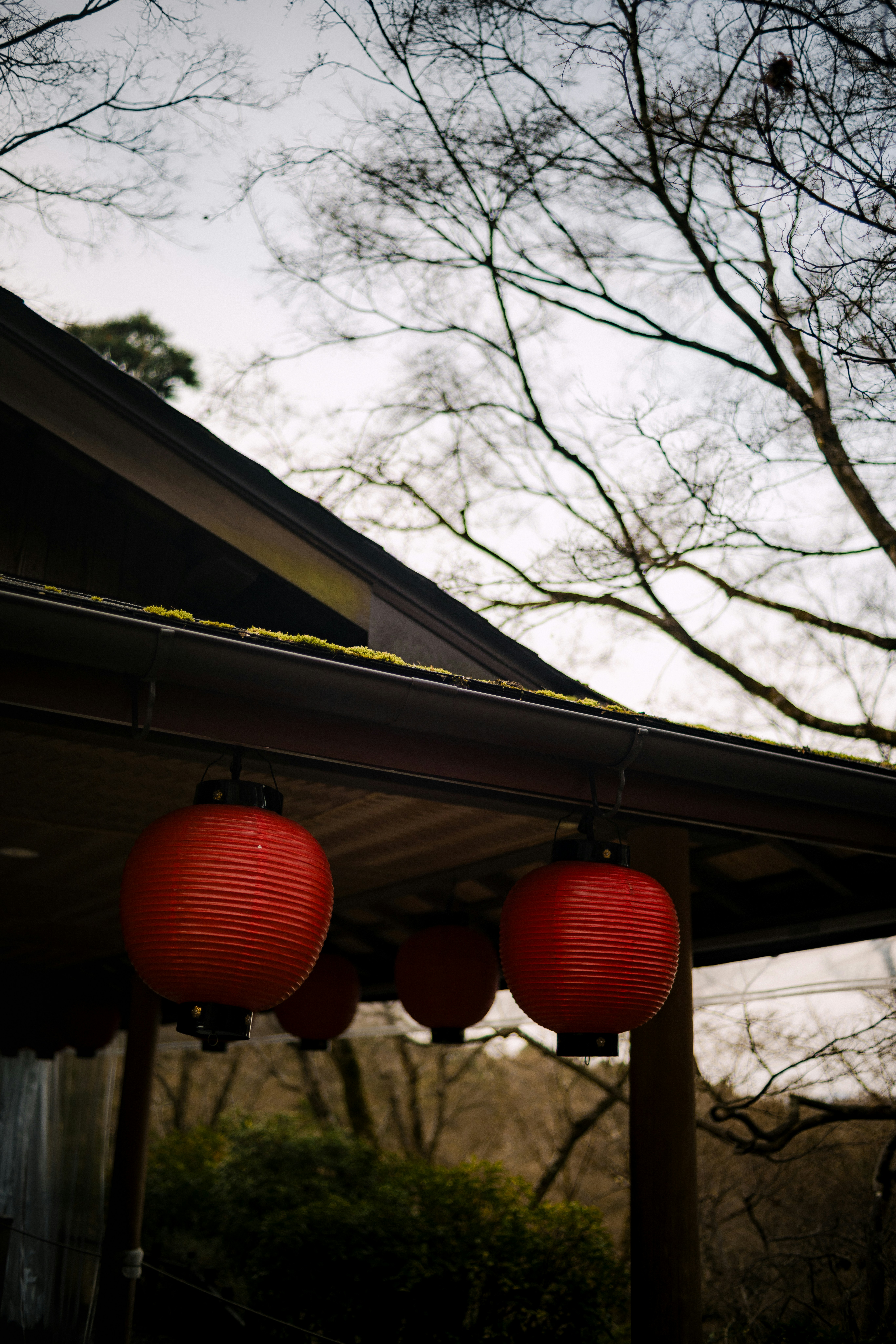 Red Lanterns Under a Quiet Eave
