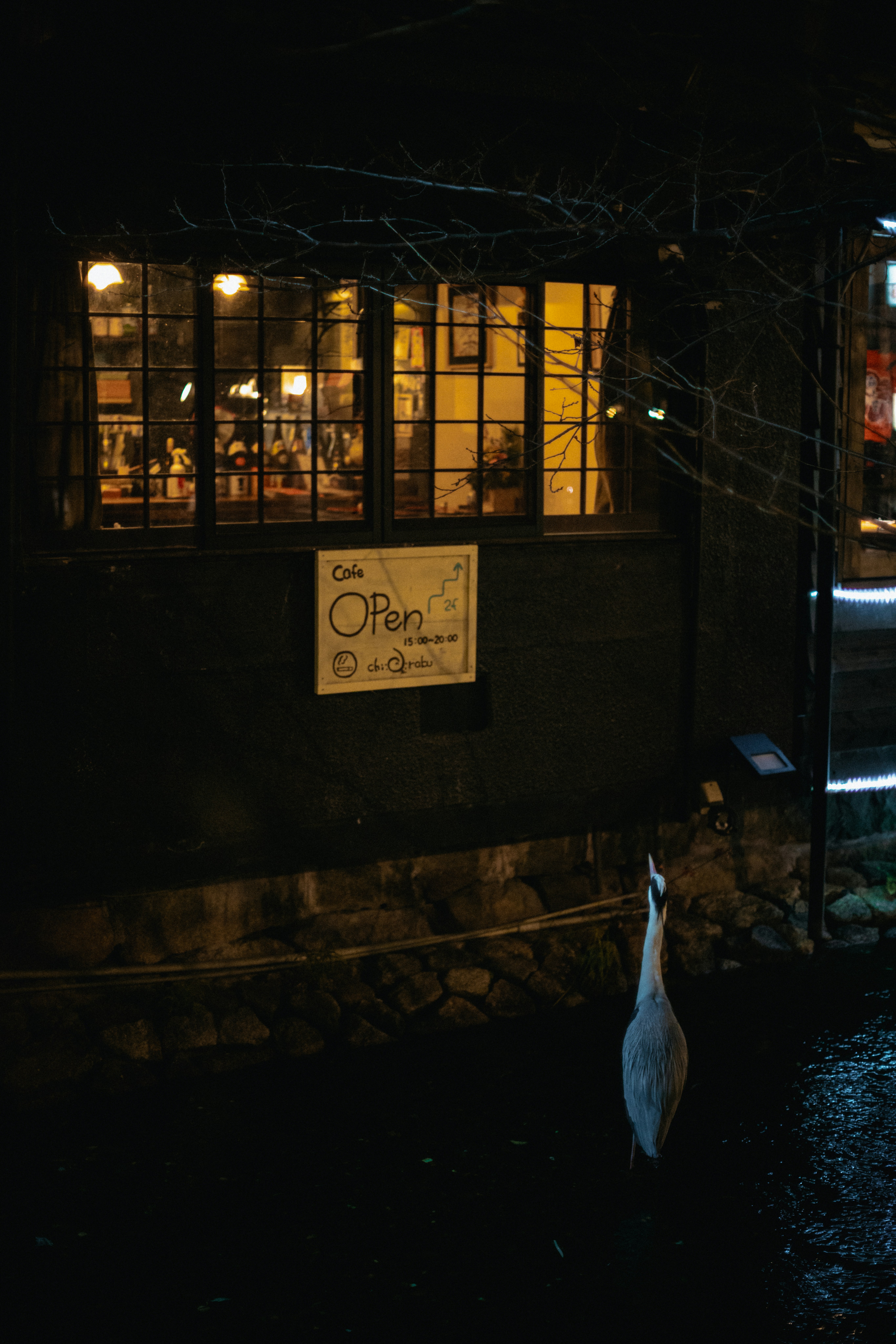 Warm Café Window Framed by Night and a Quiet Heron