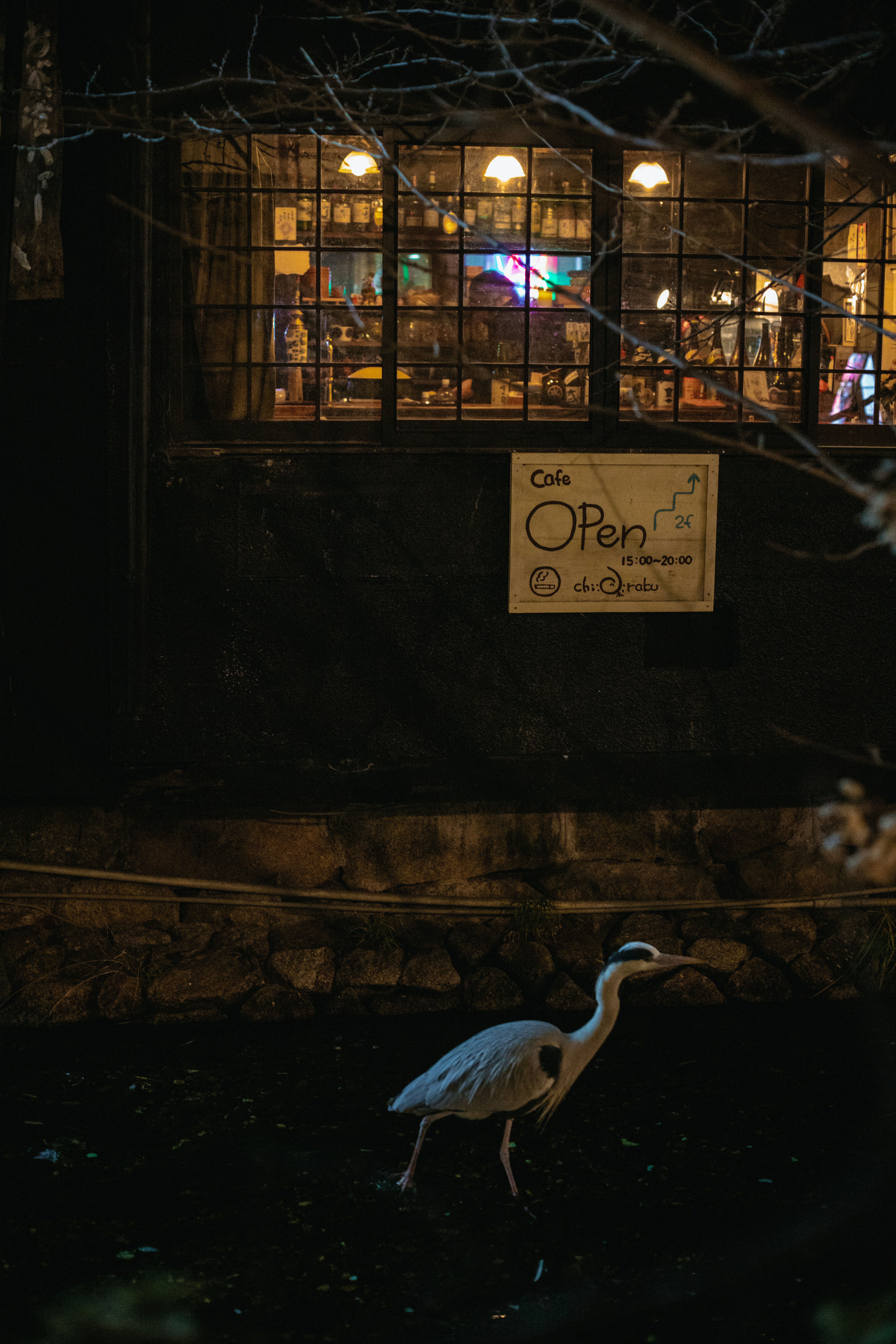 Quiet Heron by the Café Window