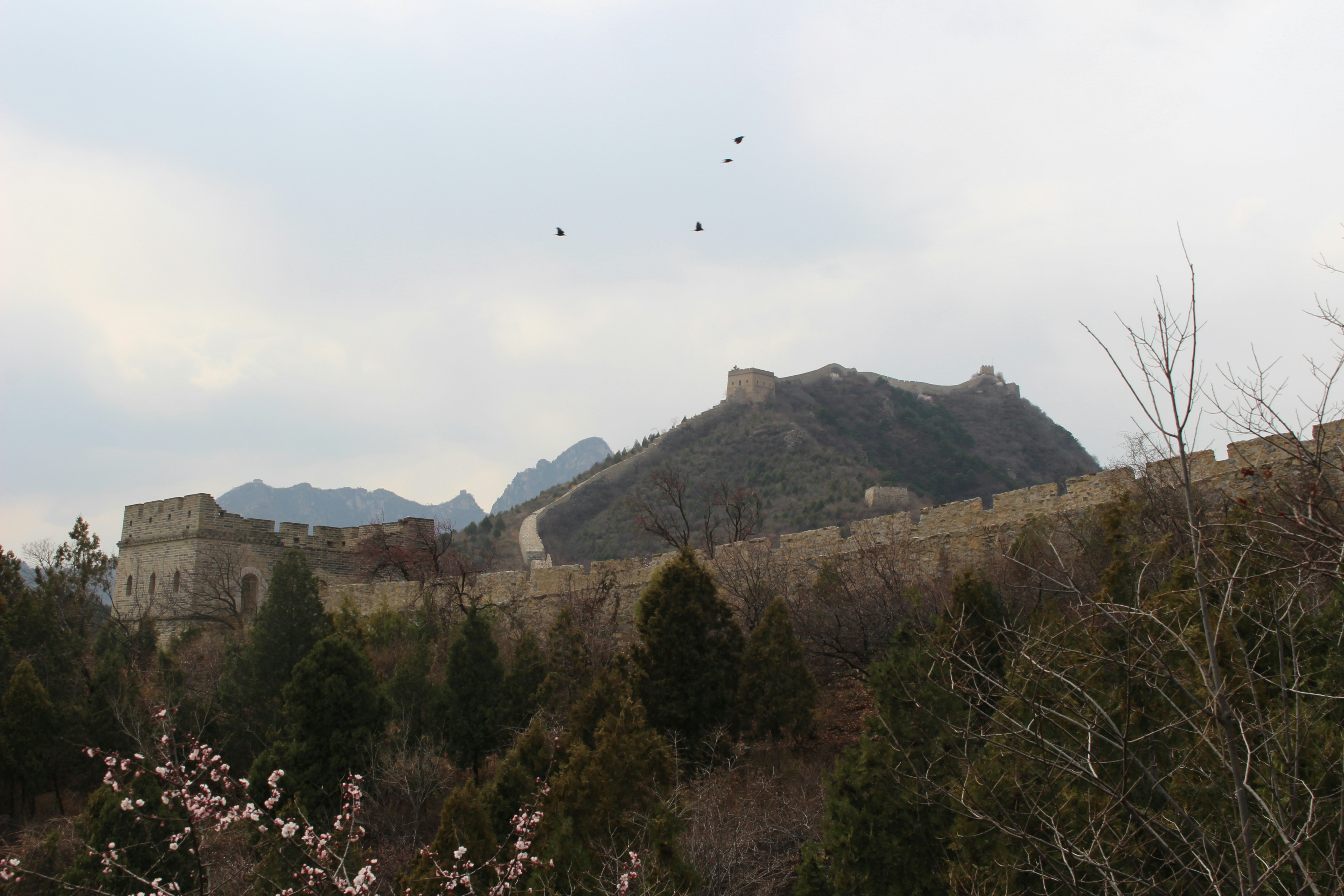Ancient Walls Amid Spring Vigil: A Highland Fortress Framed by Blossoms