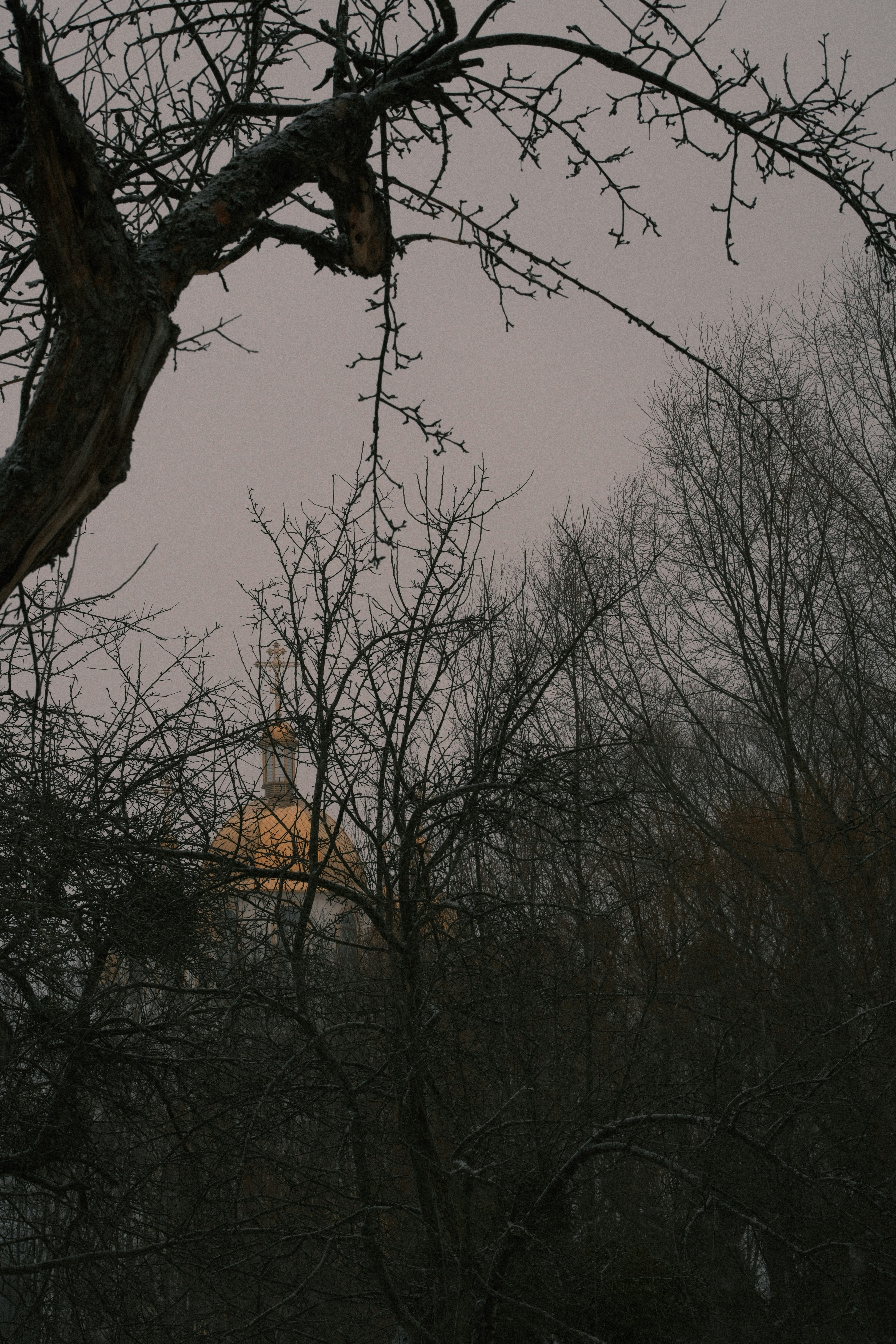Hidden Dome in Winter Gloom