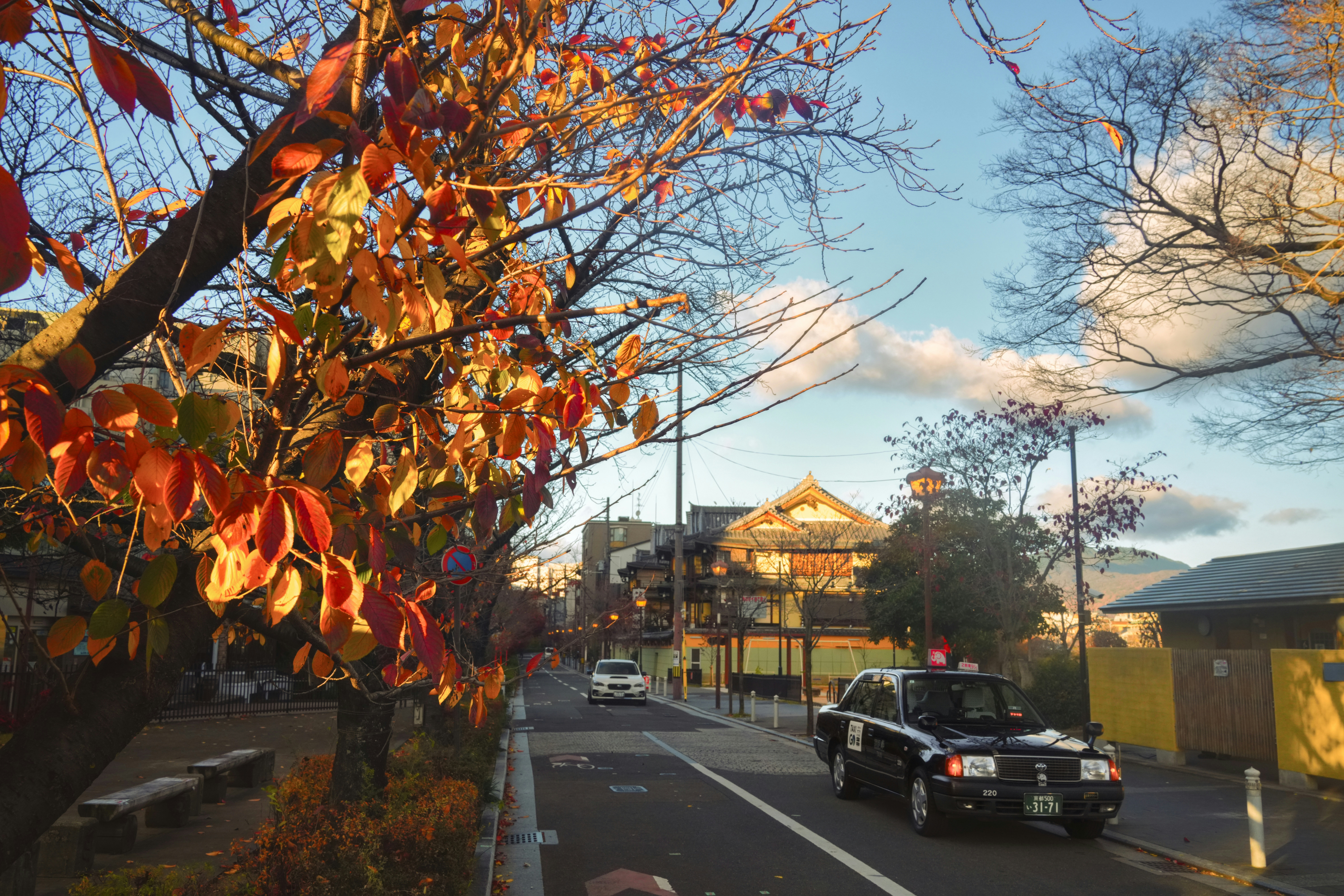 Autumn Street Calm: Leaves Framing a Quiet City Slice