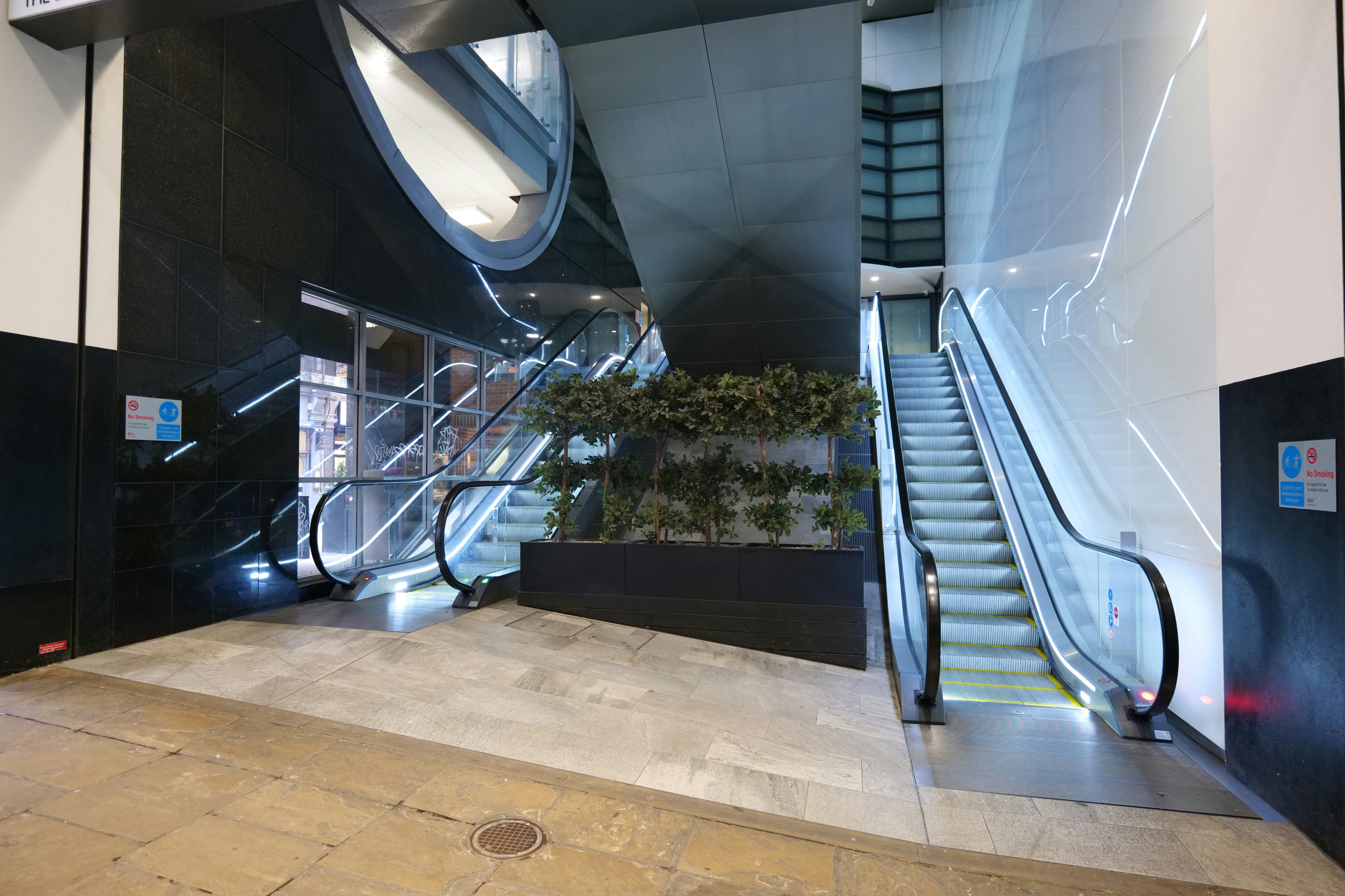 Urban Atrium: Escalators, Plant Bed, and Glass Reflections
