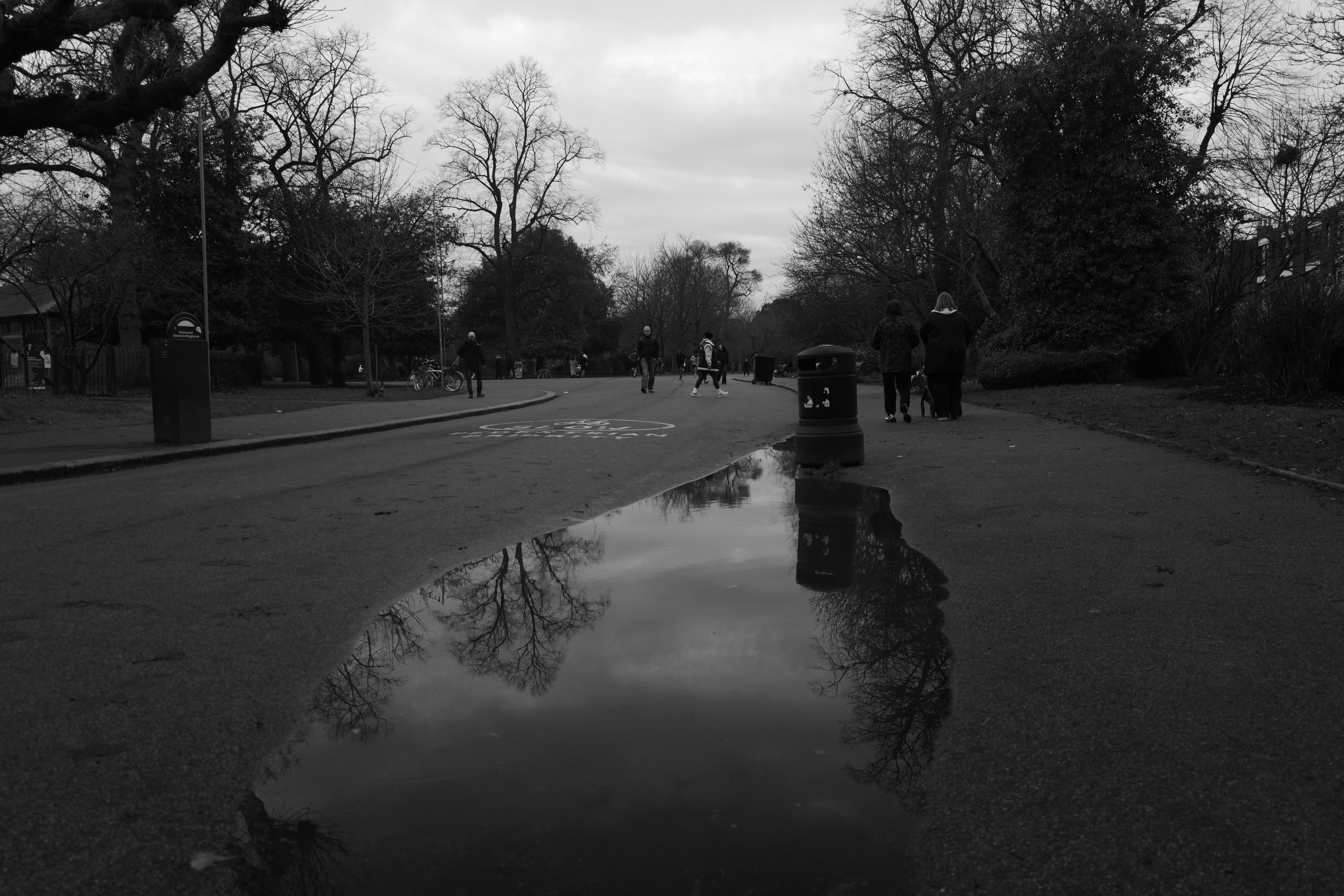 Puddle Parallel: Quiet afternoon in a rain-darkened park