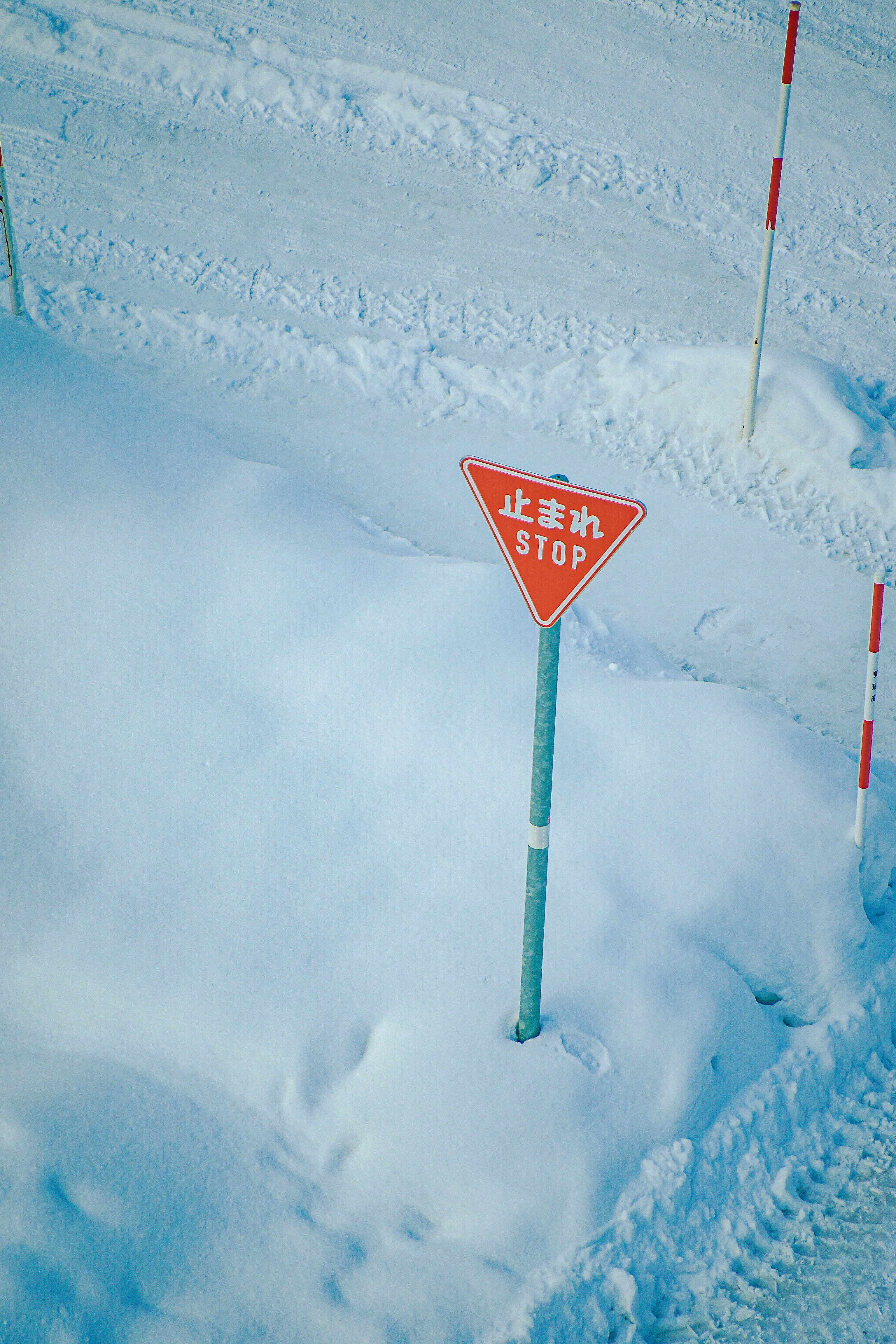 Red Stop Sign Emerging from the Snow Drift