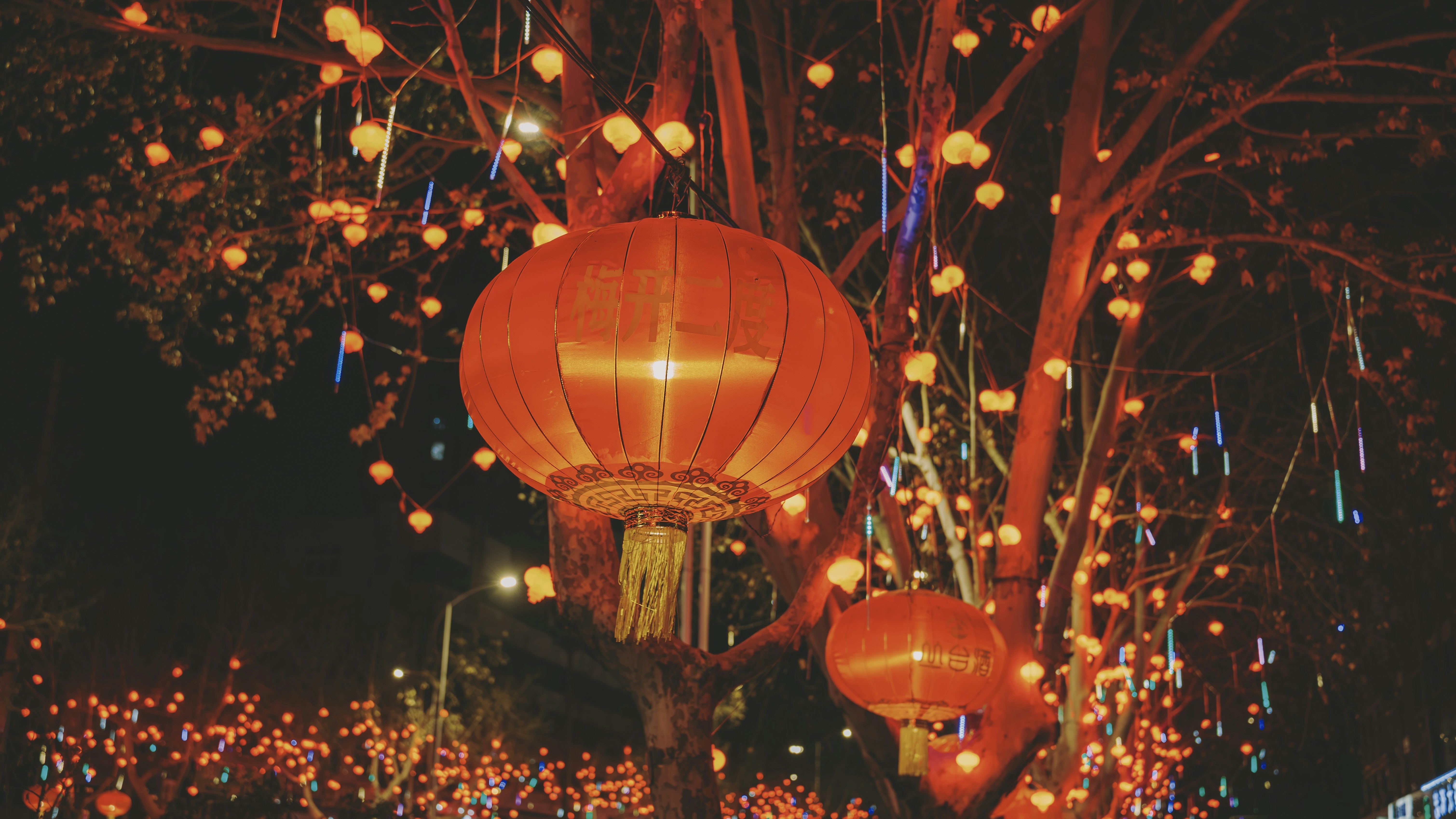 Glowing Lanterns weave a night festival into the trees