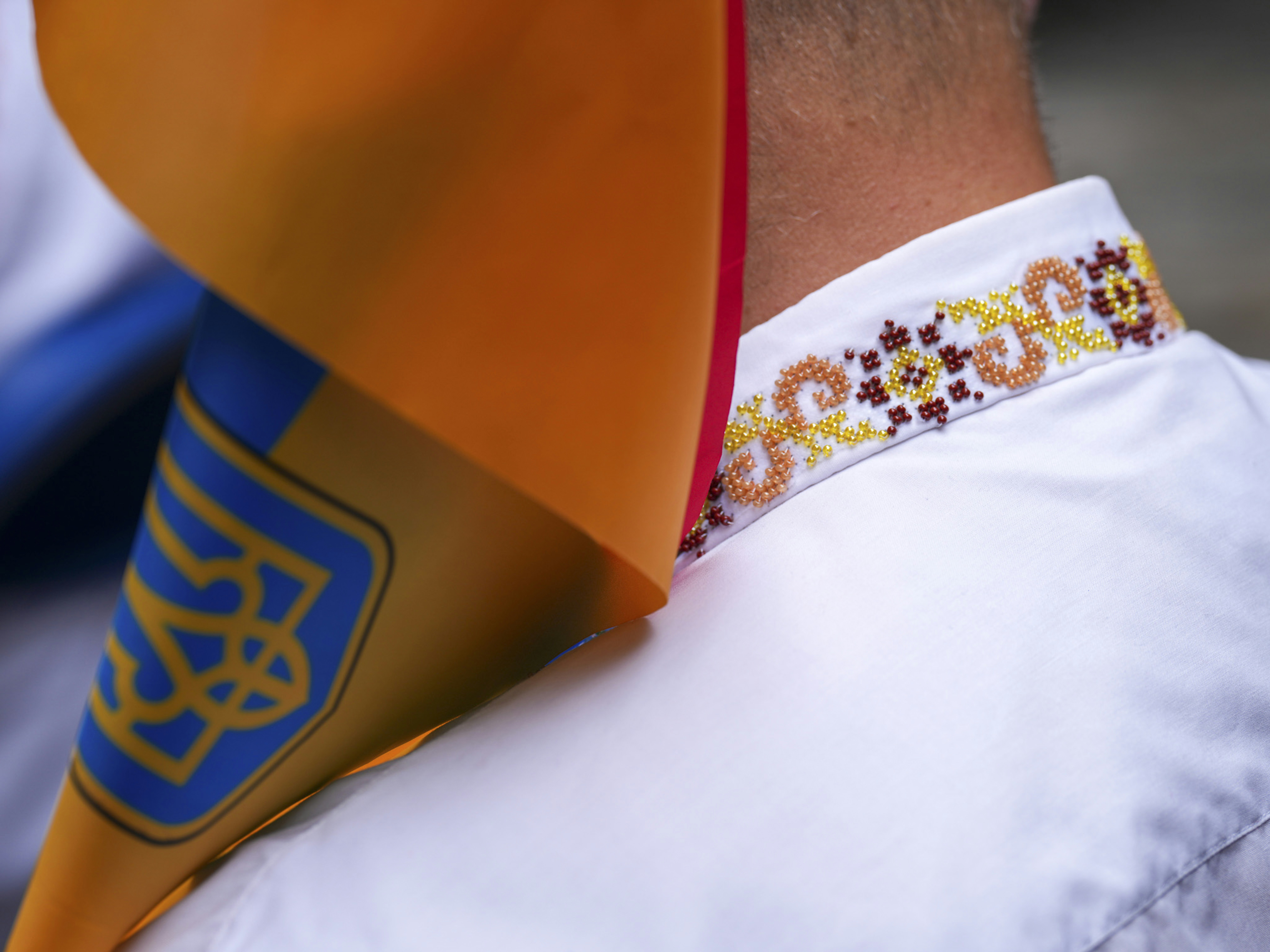 Hidden Shield: A Close-Up of Cultural Armor and Crest