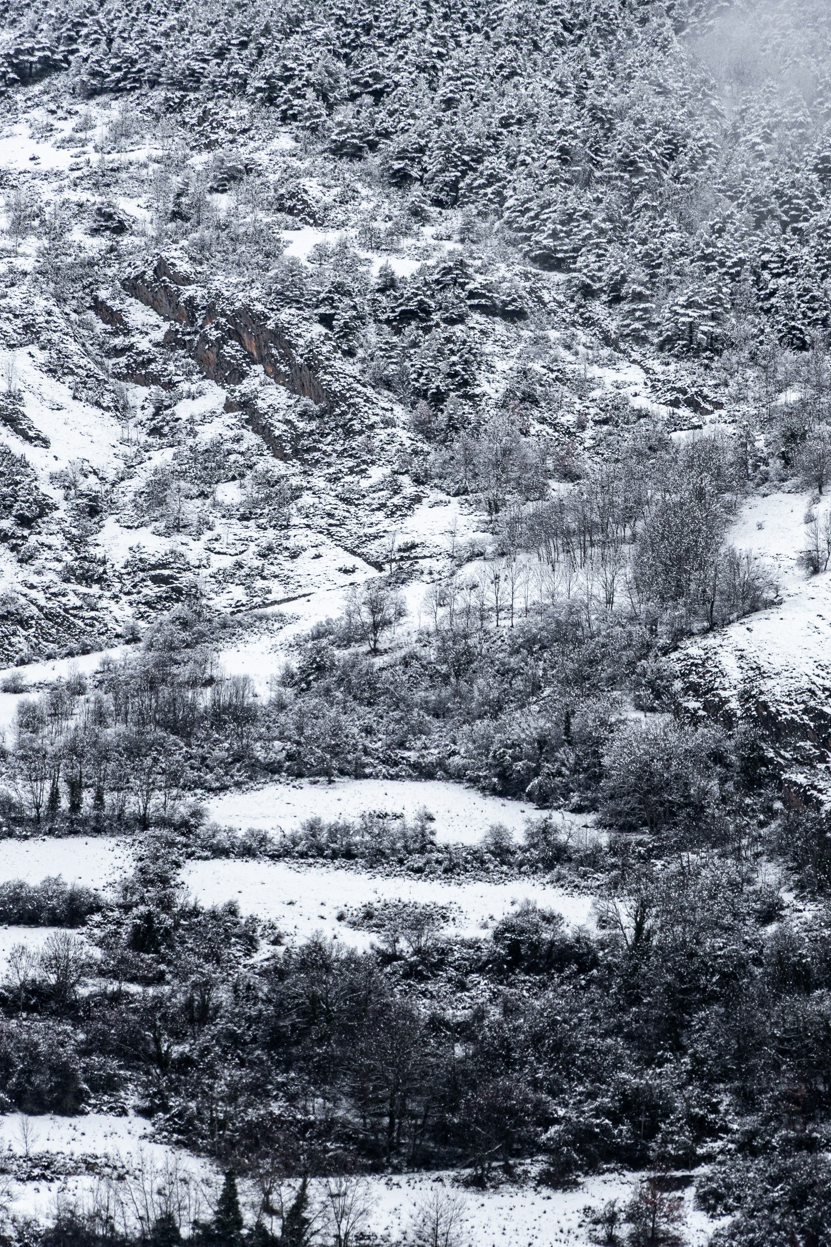 Snow-Laced hillside meanders through a quiet valley