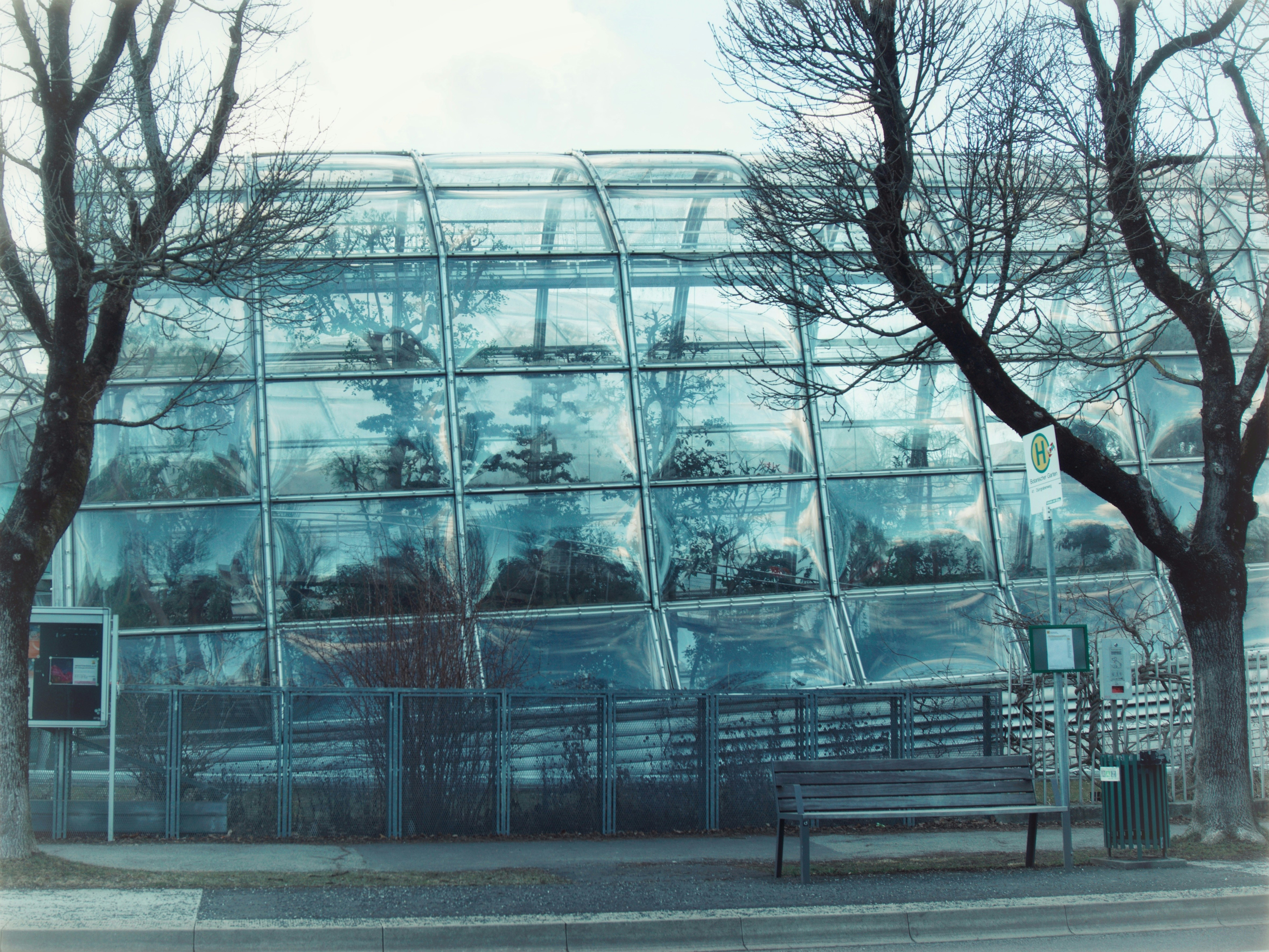 Glasshouse Reflections: A Quiet City Façade Echoing Winter Blues