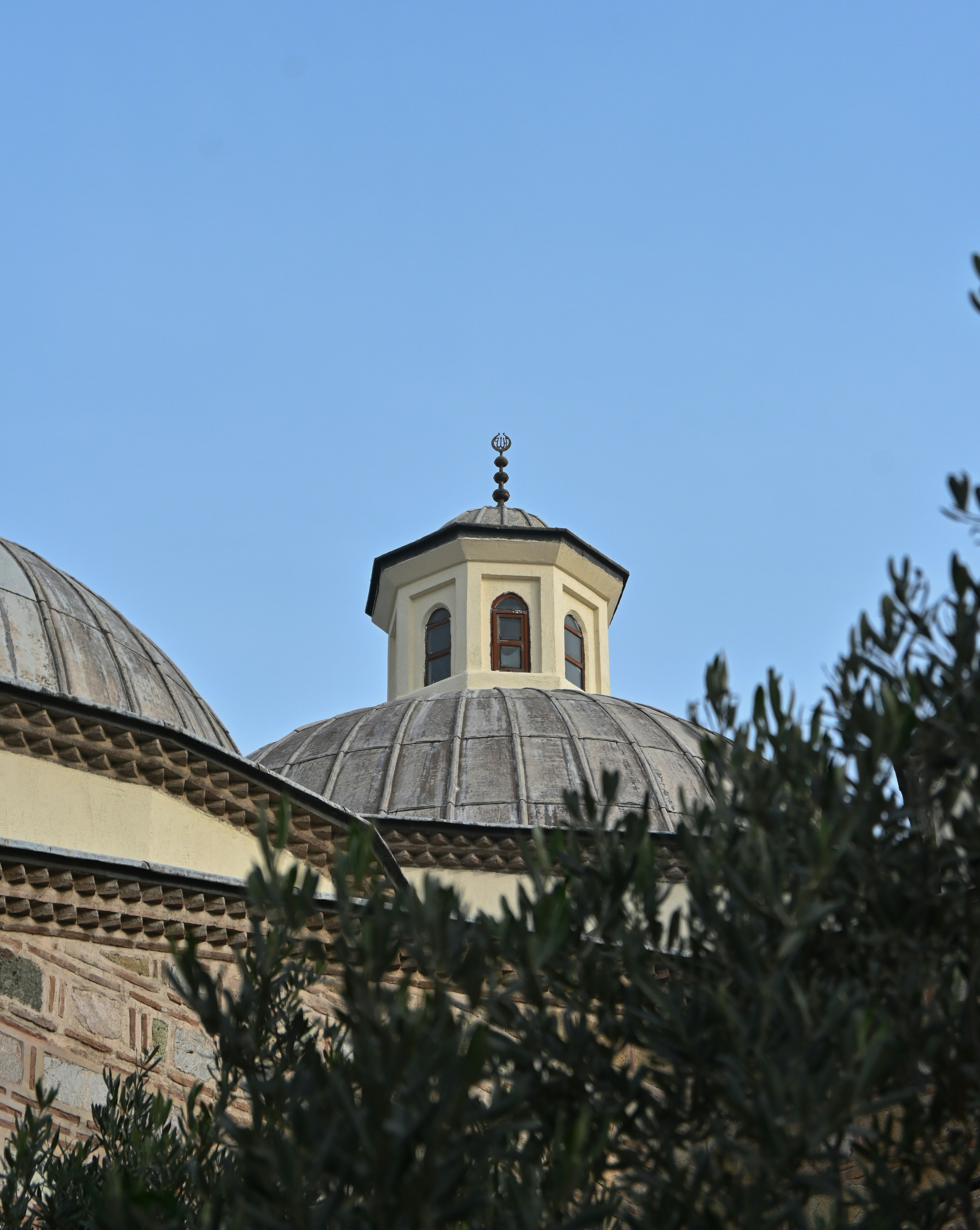 Dome and Cupola Rising Over Pruned Foliage