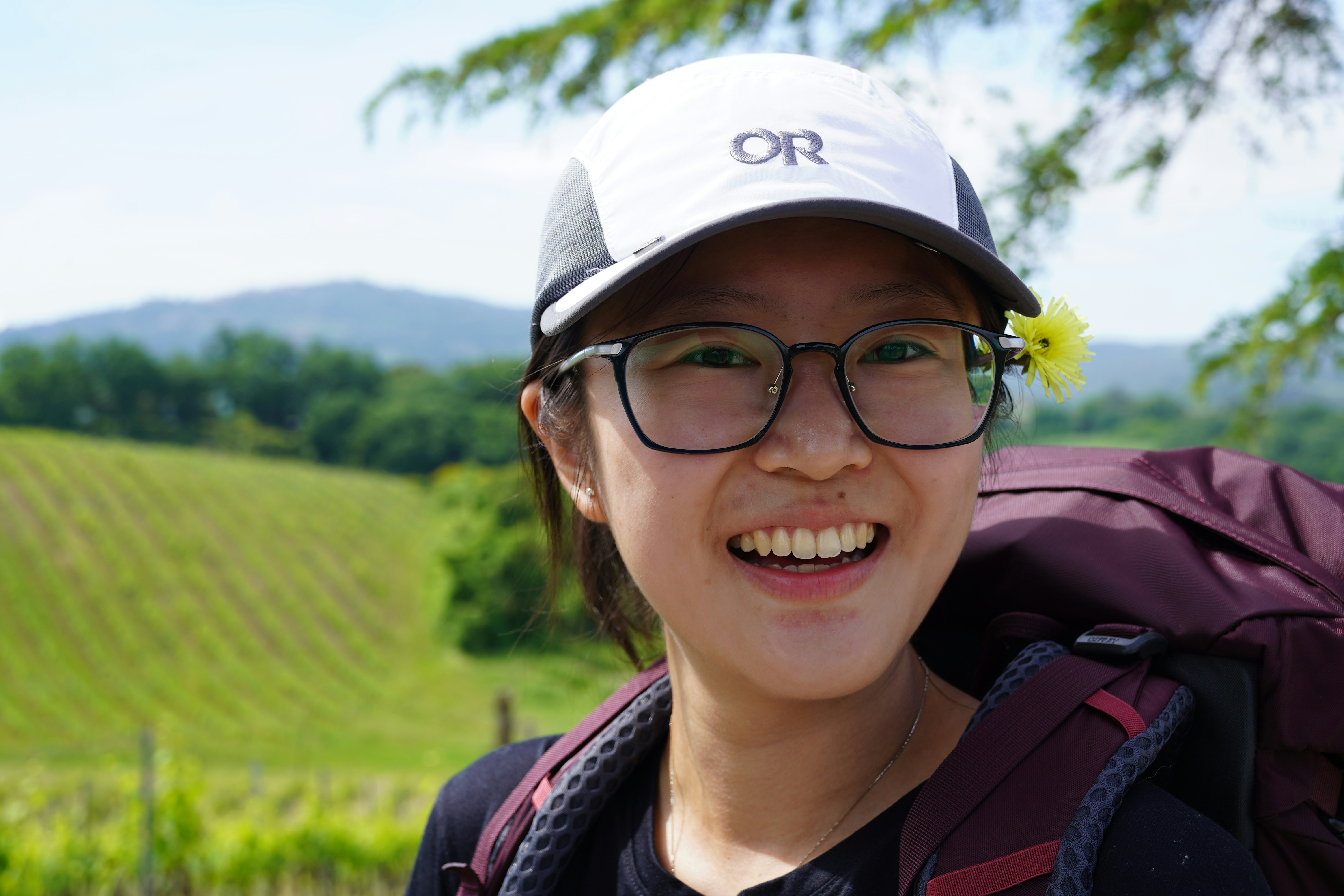 Bright-eyed Explorer in a Green Vineyard