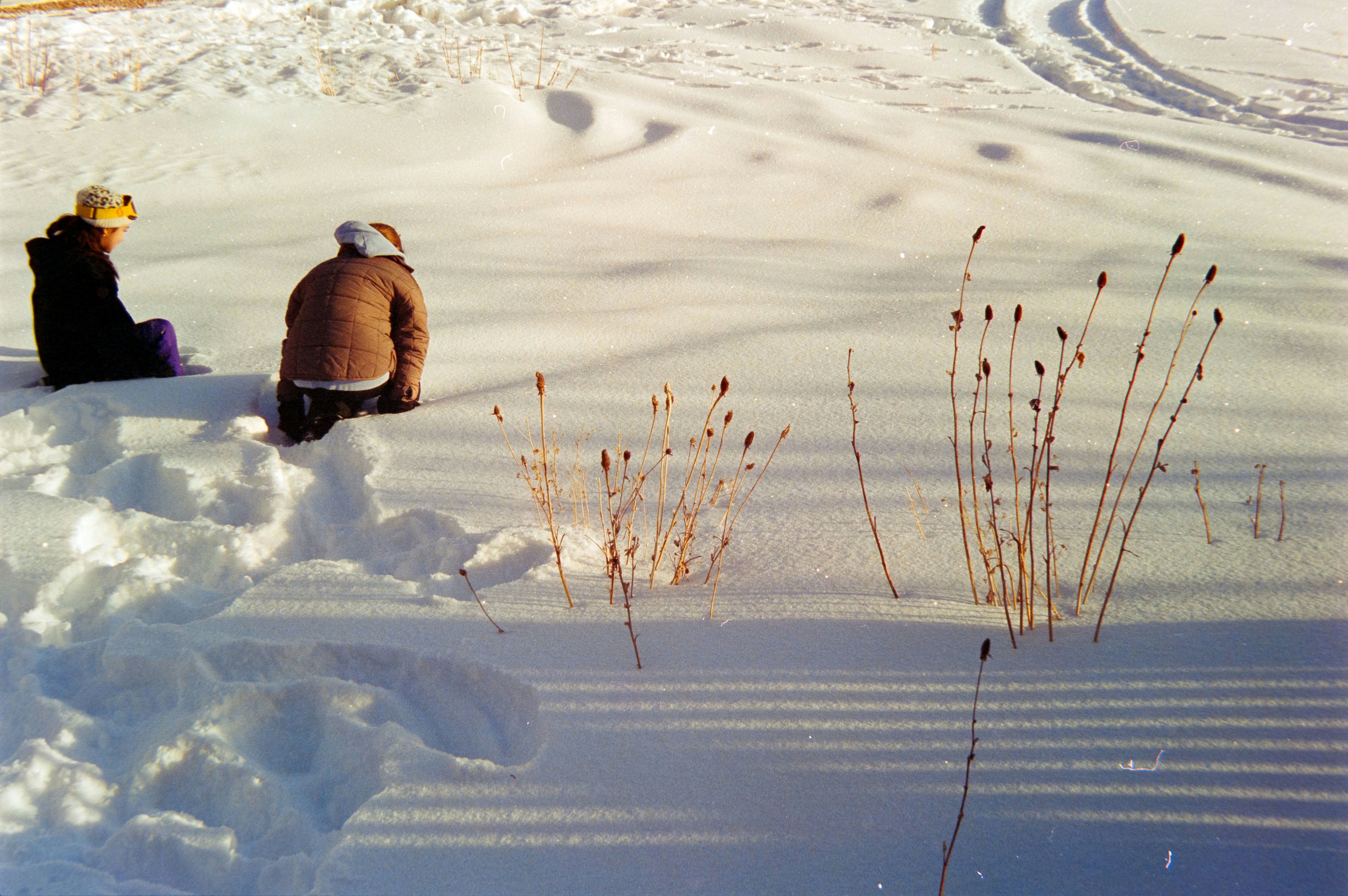 Two hikers in a snowy dune scene