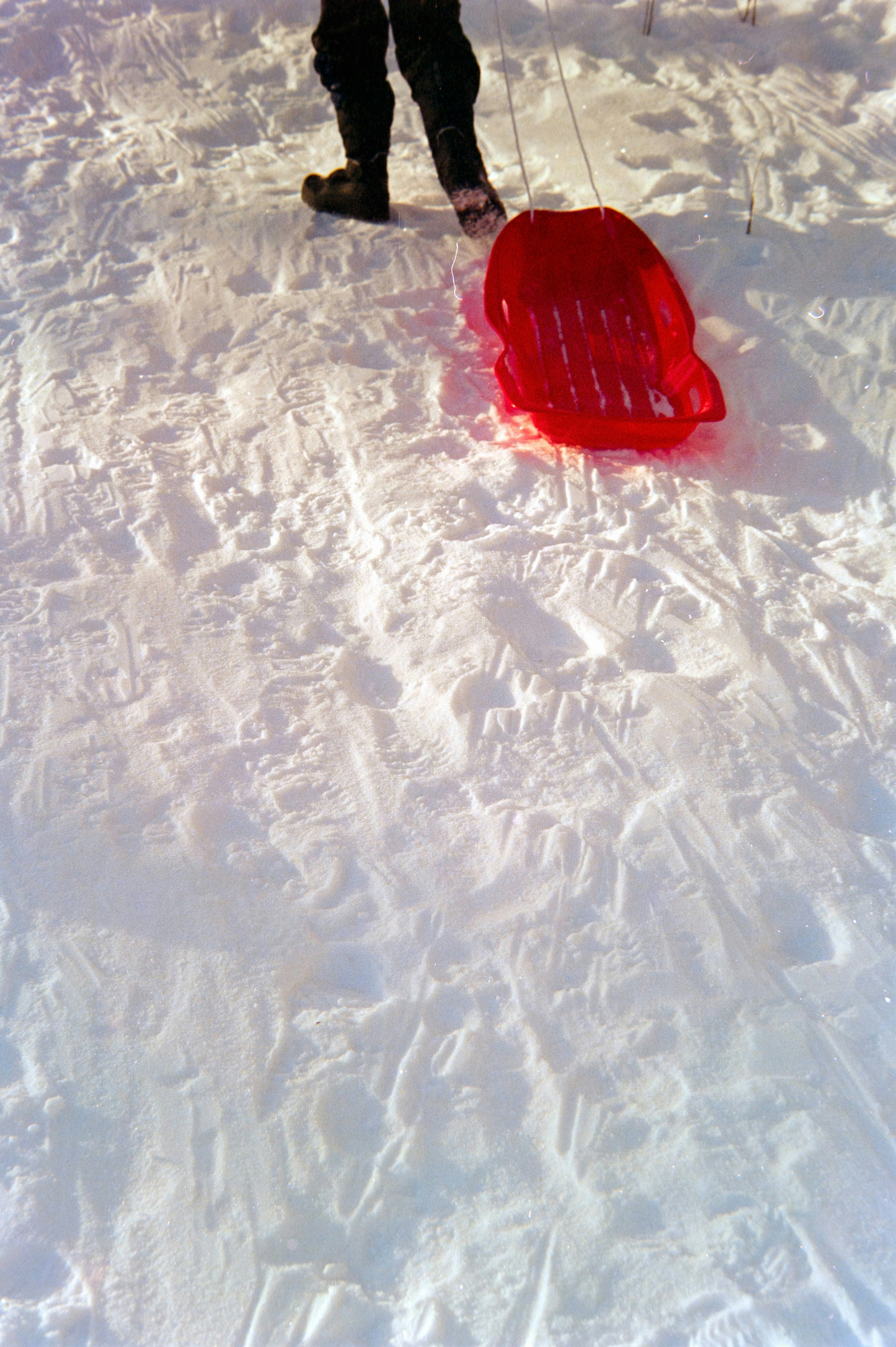 Red Sled at the Snow’s Edge