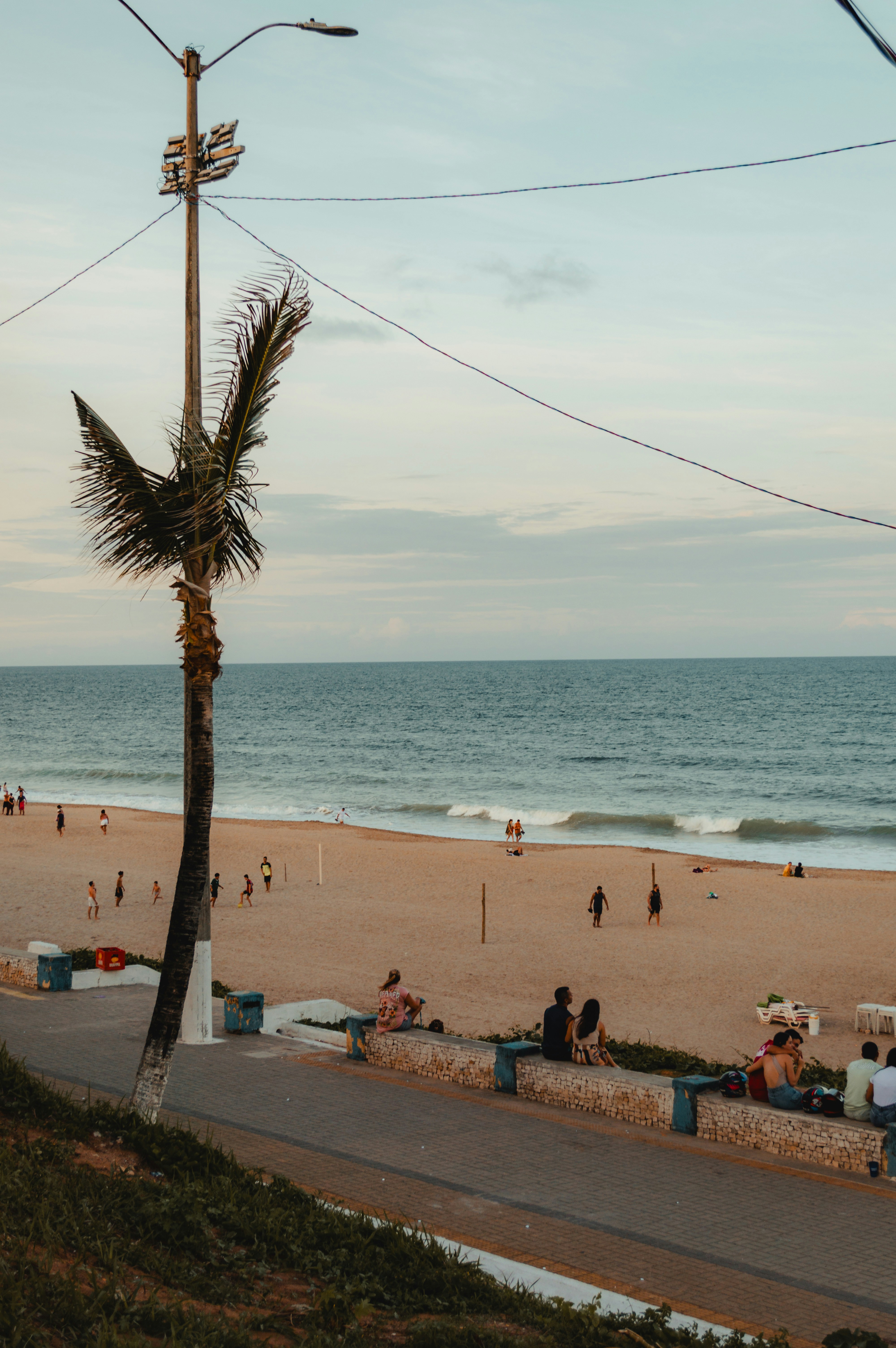 Palm, Sea, and Sunset Walk Along a Crowded Beach