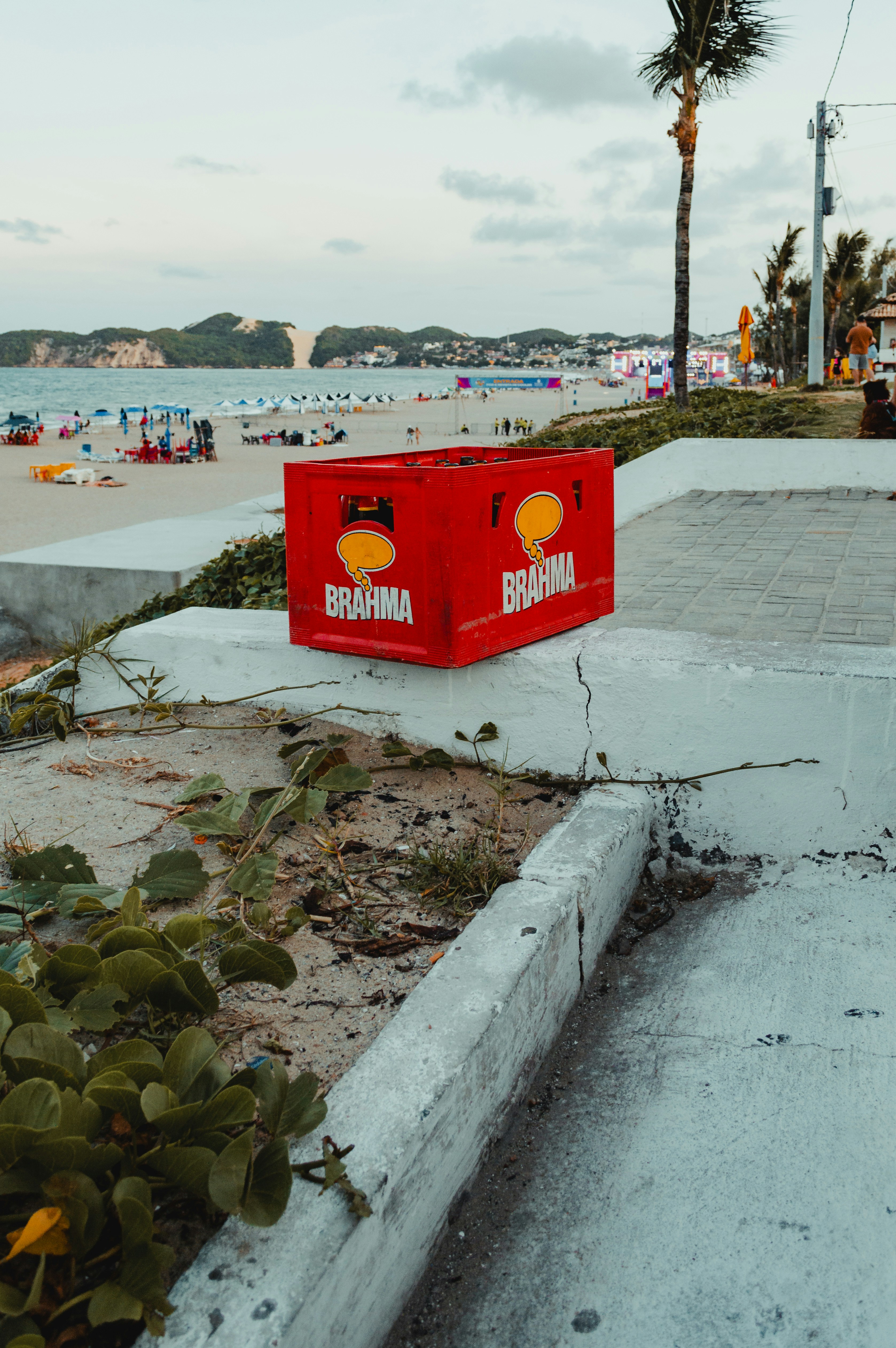 Red Brama Box by the Beach: A Quiet Moment Among the Shoreline Activity