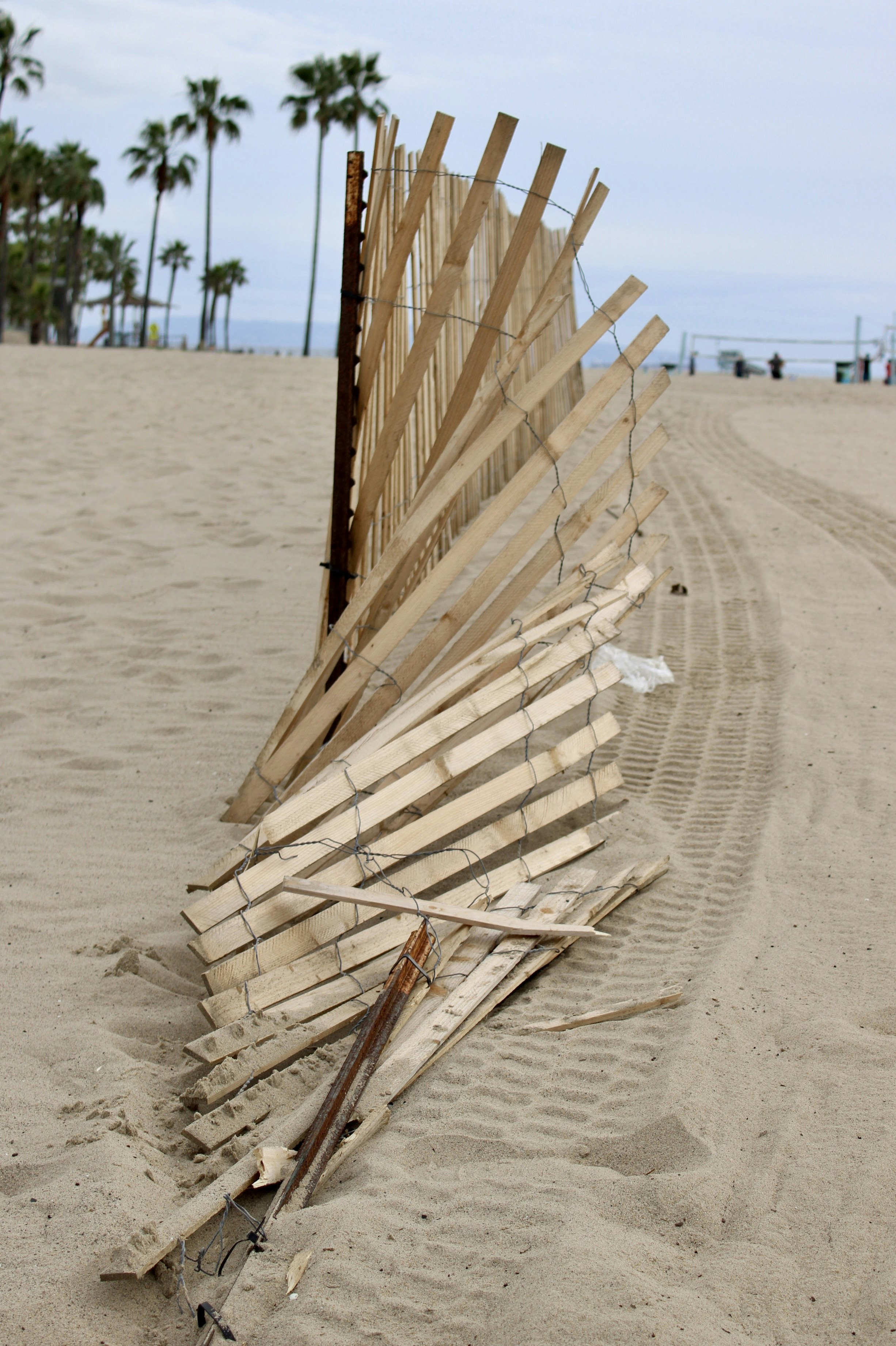 Windward Fence: Ailevered Sandbound at the Beach